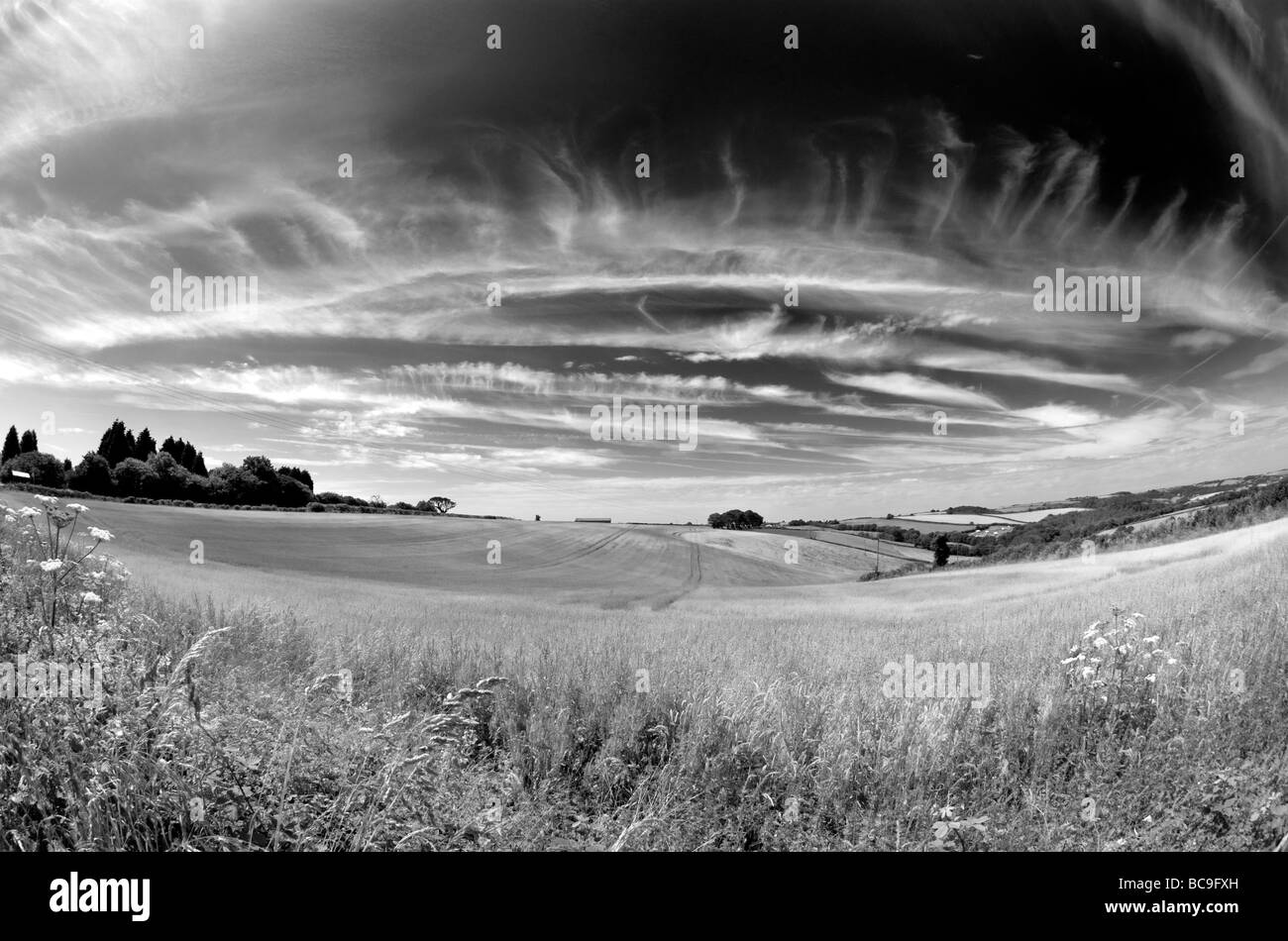 A traditional Devon combe or valley at Collaton Cross near Noss Mayo in ...