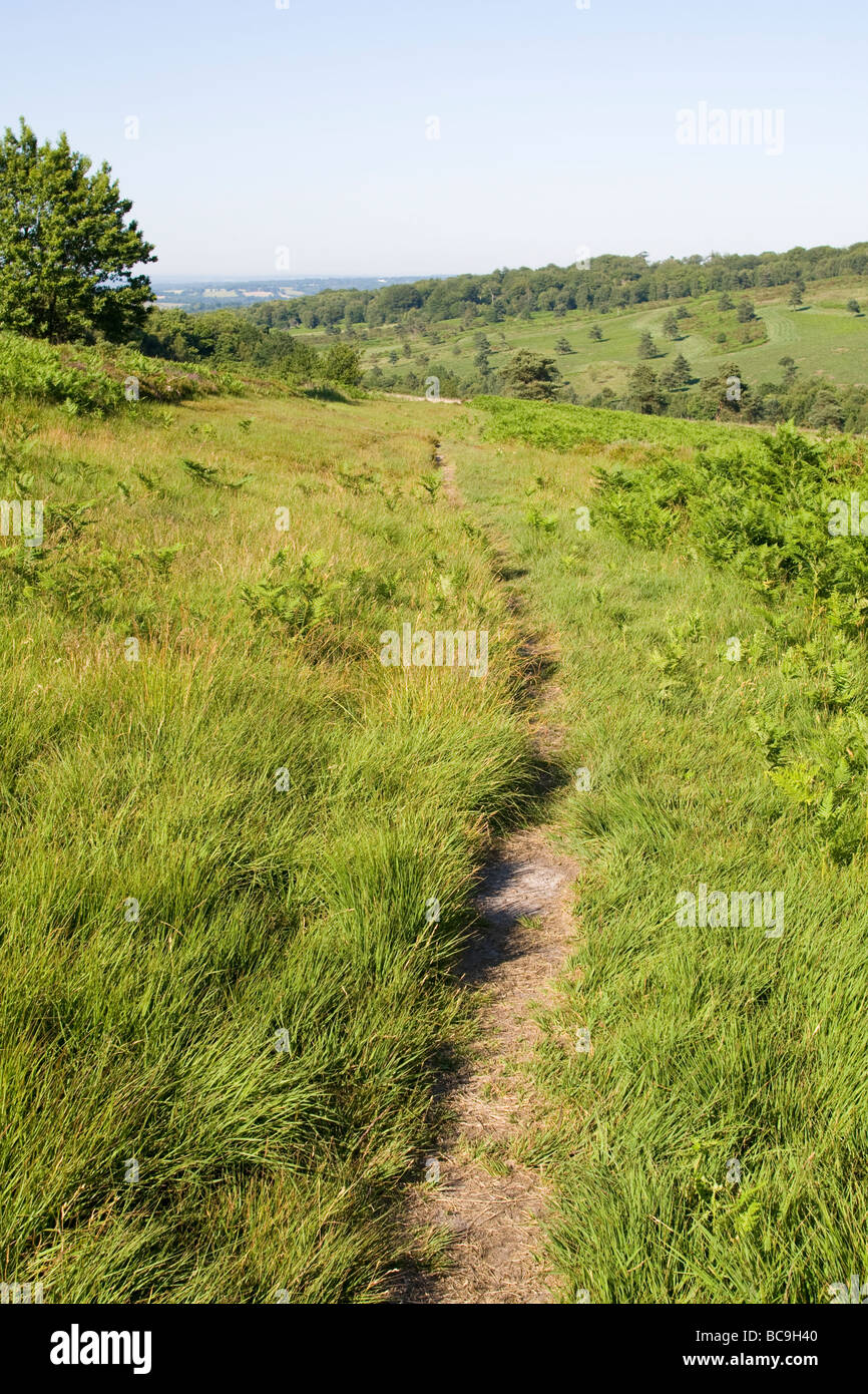 Ashdown forest hi-res stock photography and images - Alamy