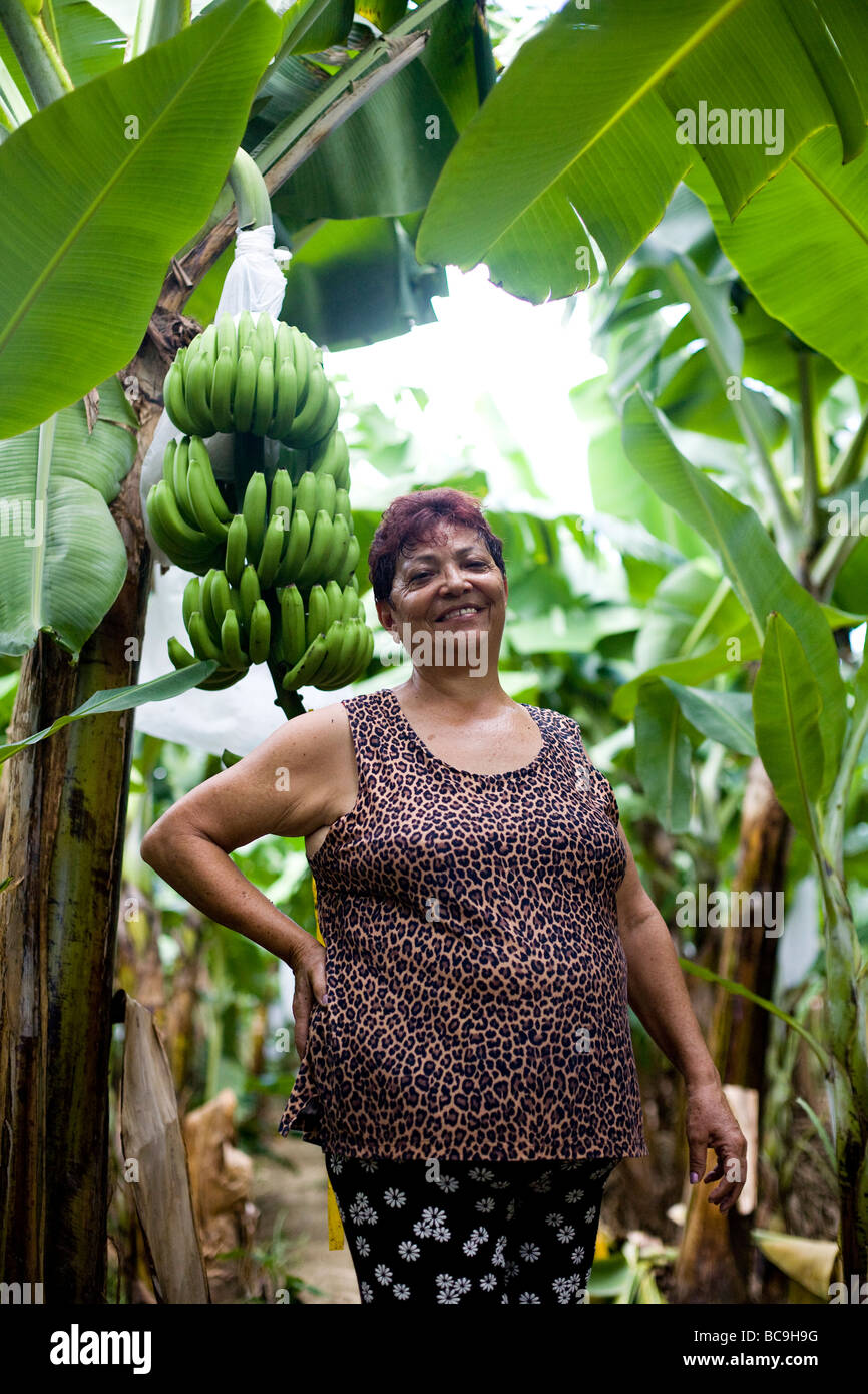 Fairtrade banana farmer, Dominican Republic Stock Photo - Alamy