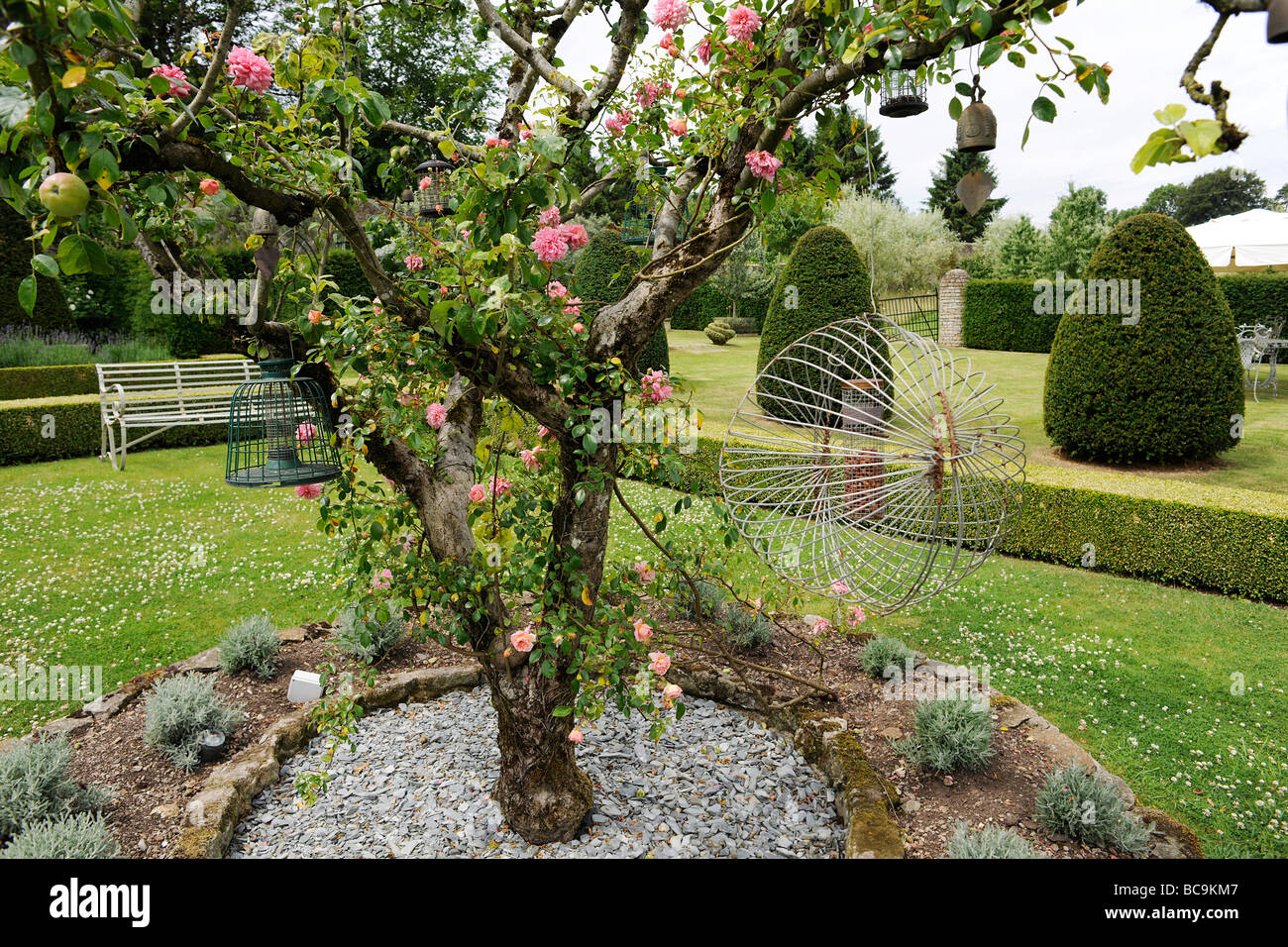 English rose garden hi-res stock photography and images - Alamy