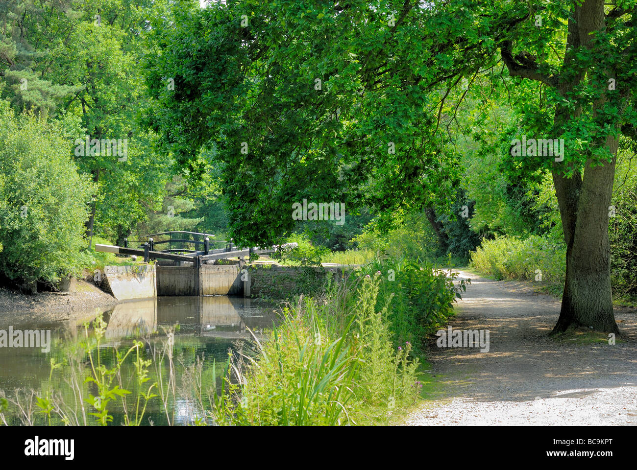 Basingstoke uk hi-res stock photography and images - Alamy