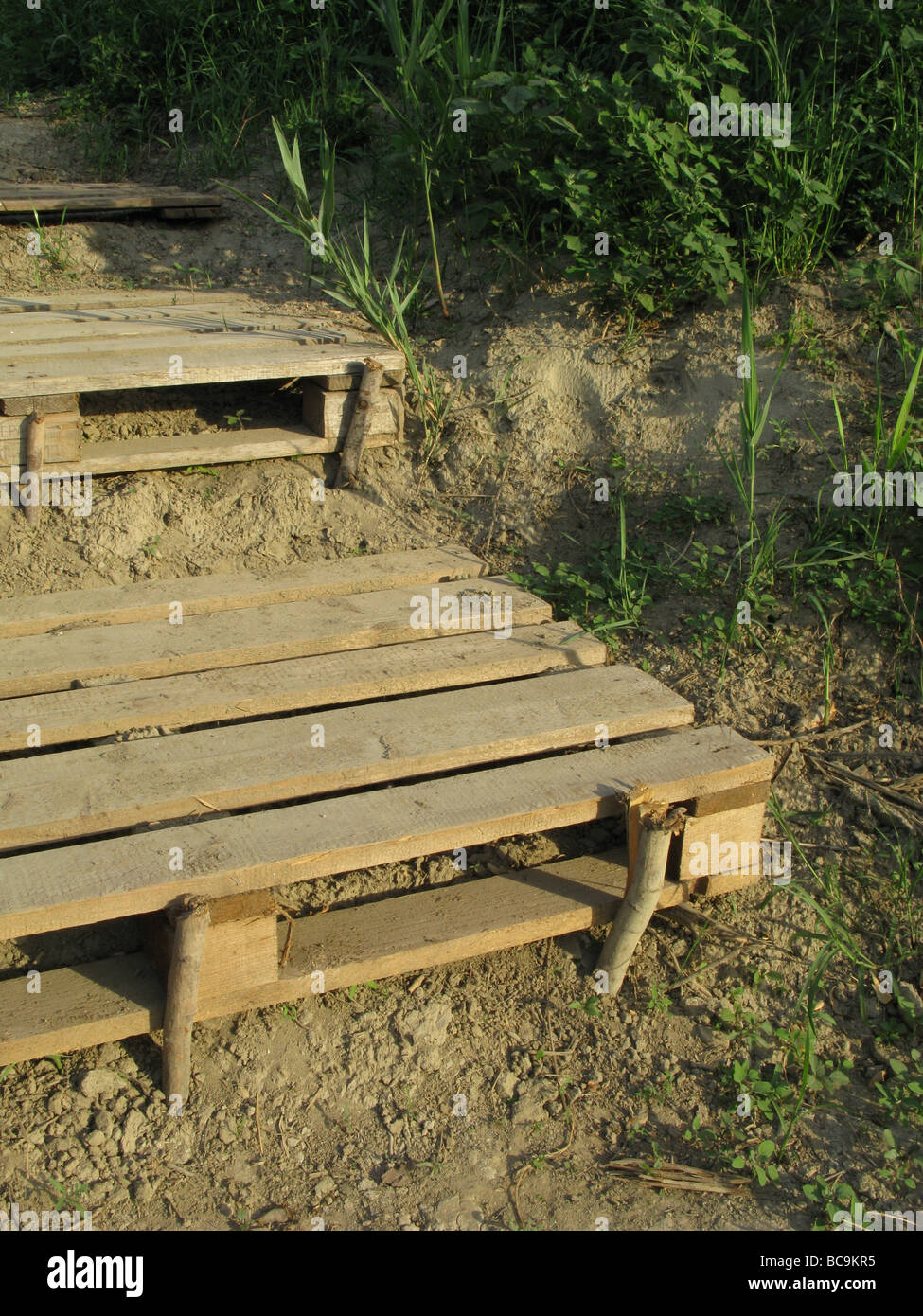 wooden footpath steps in countryside Stock Photo - Alamy