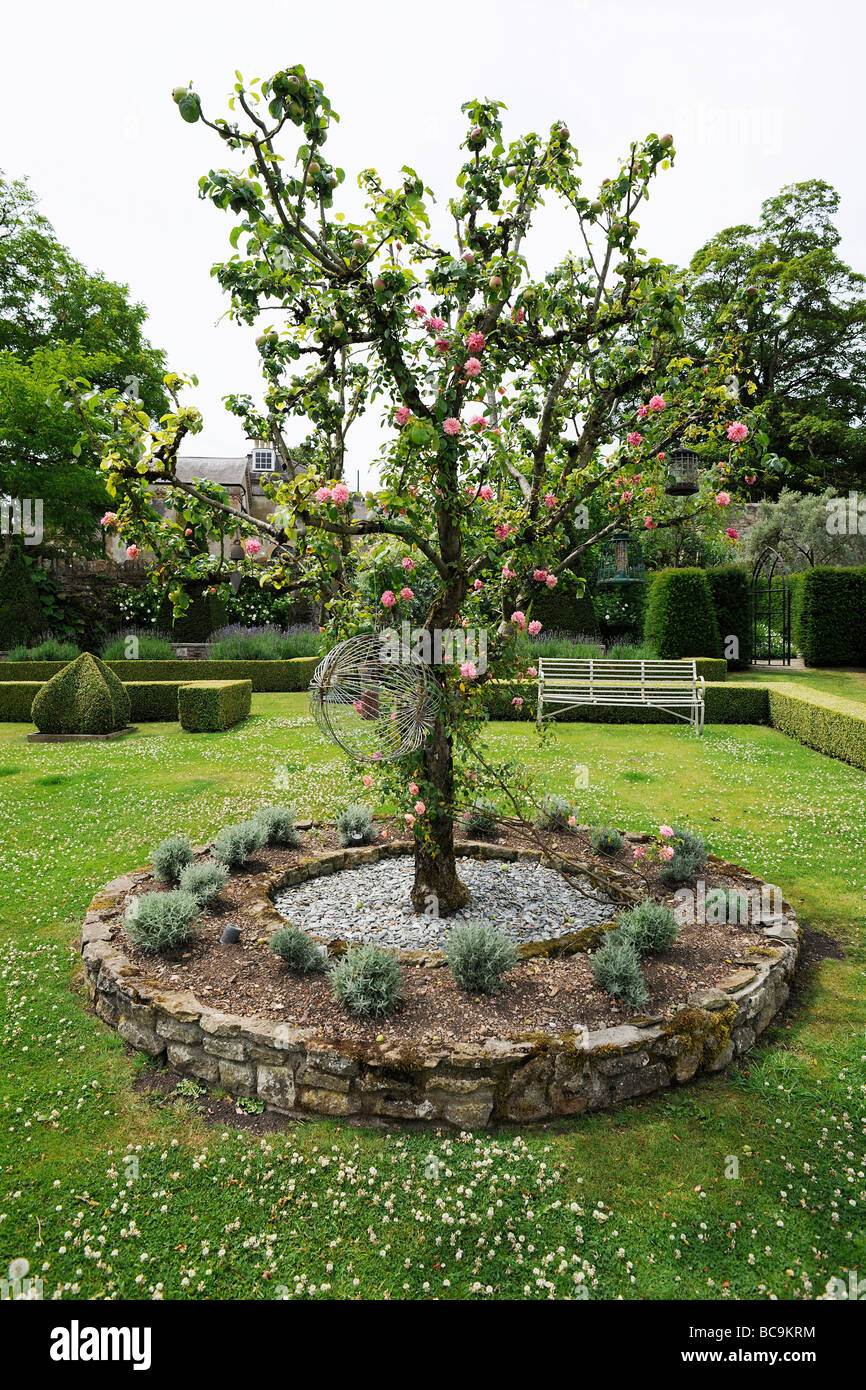 English rose garden hi-res stock photography and images - Alamy