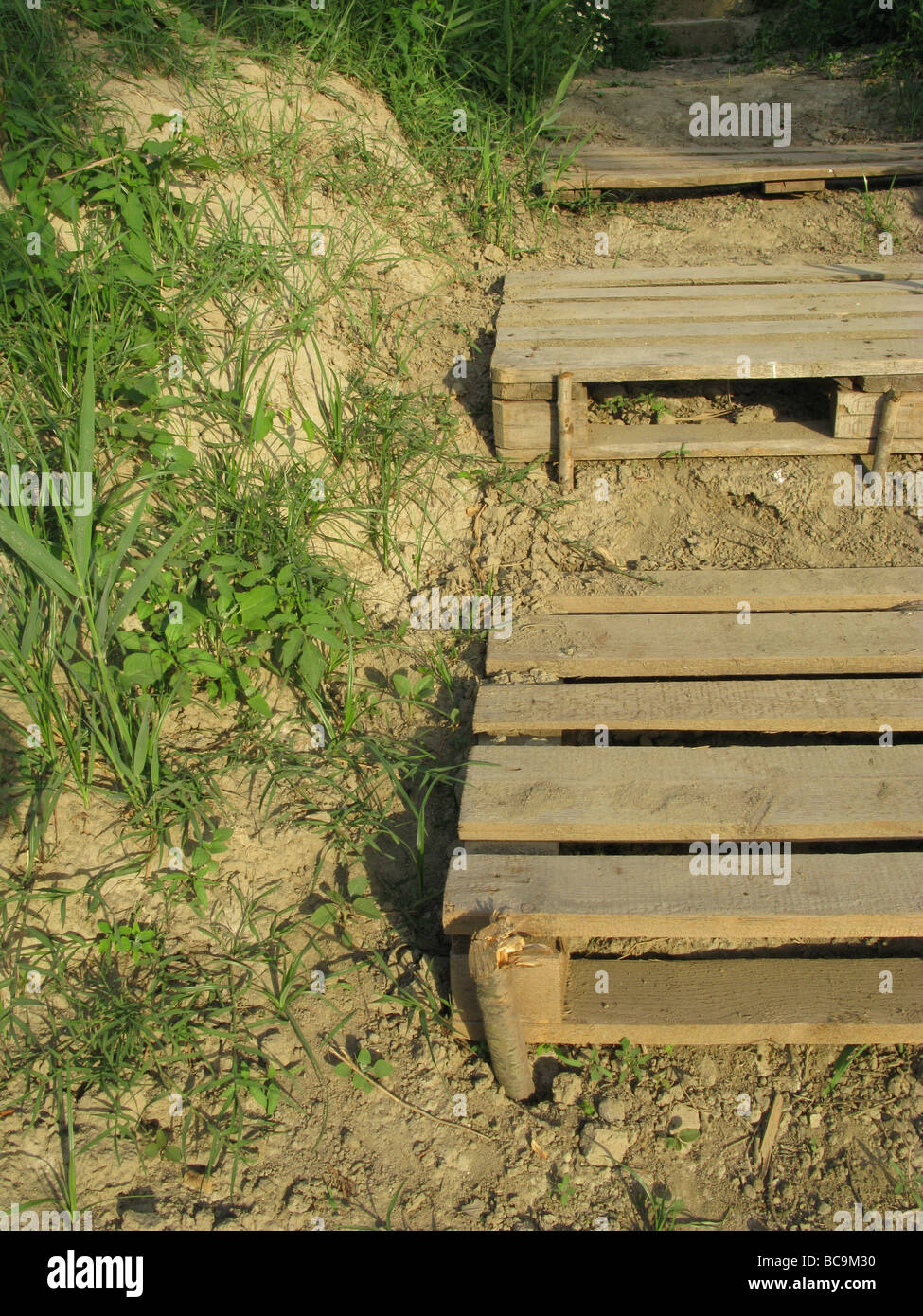 wooden footpath steps in countryside Stock Photo - Alamy