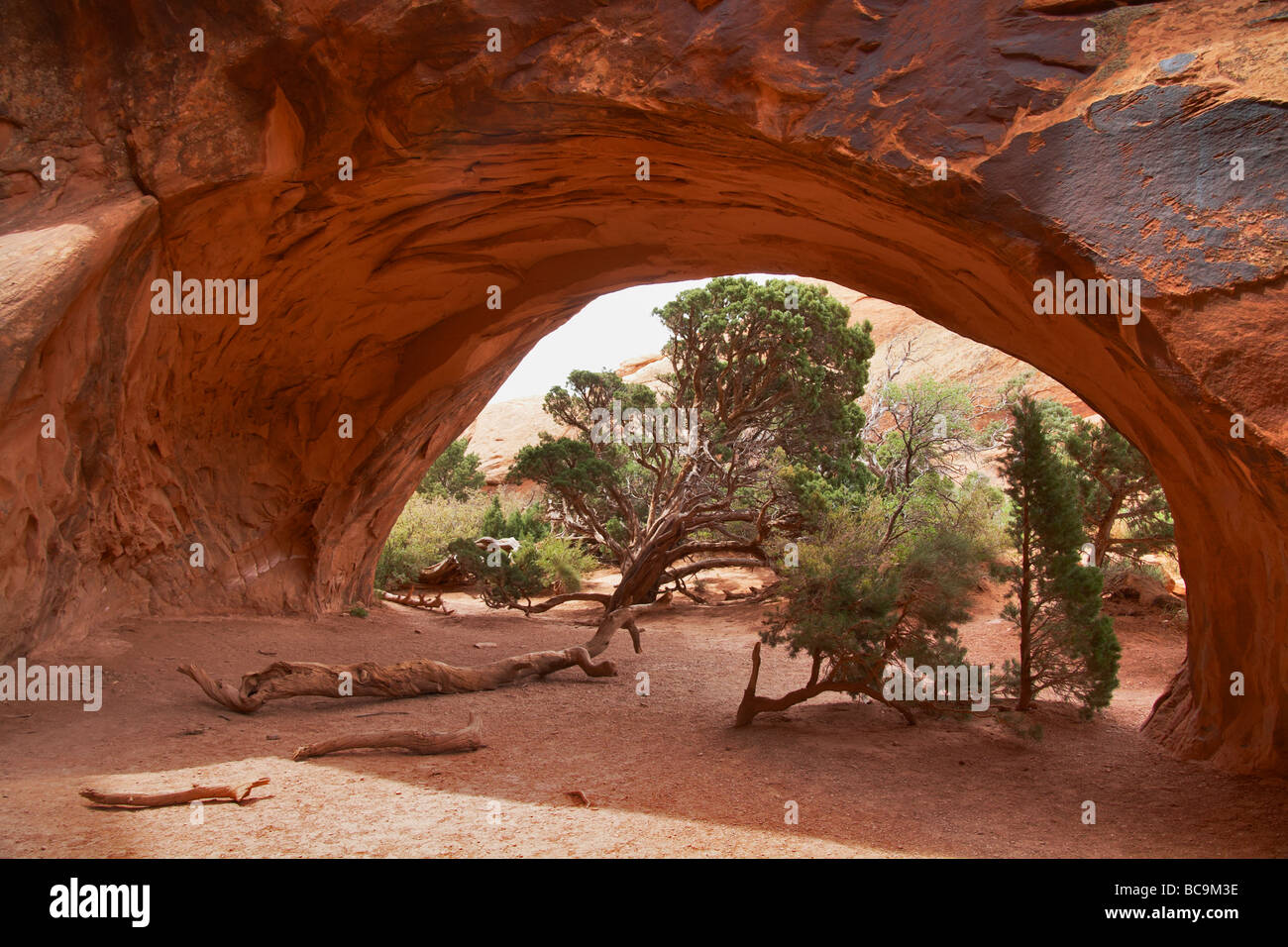Arch curve hi-res stock photography and images - Alamy