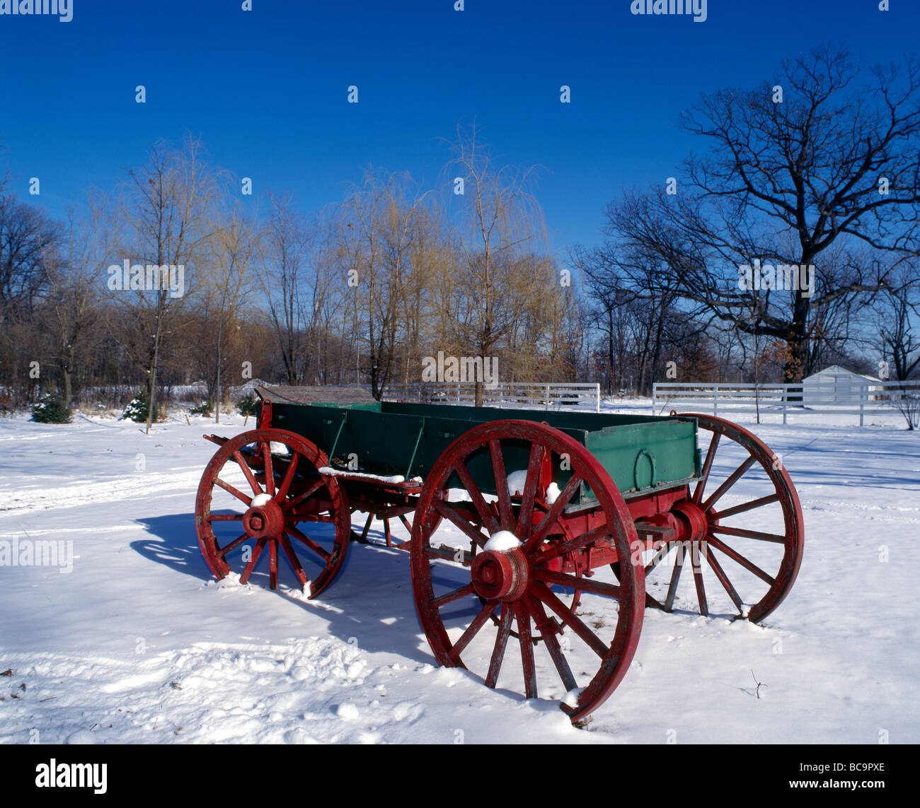 Buck board hi-res stock photography and images - Alamy