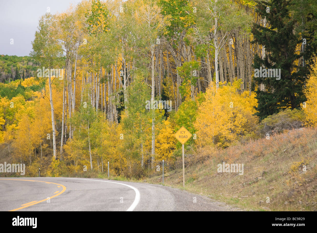 Desert fall colors hi-res stock photography and images - Alamy