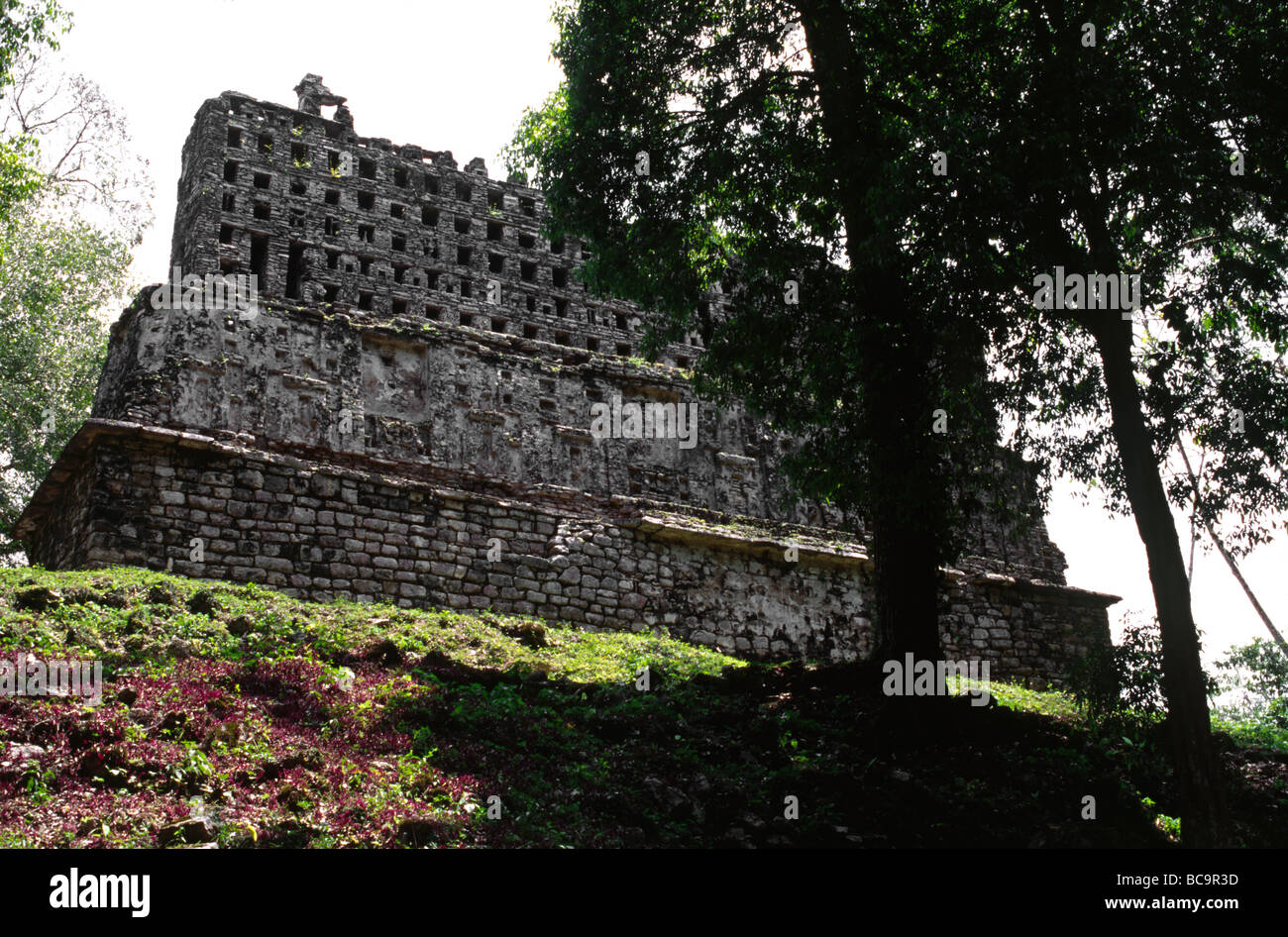 MAYA TEMPLE RUINS in YAXCHILAN commerce center from late classical ...
