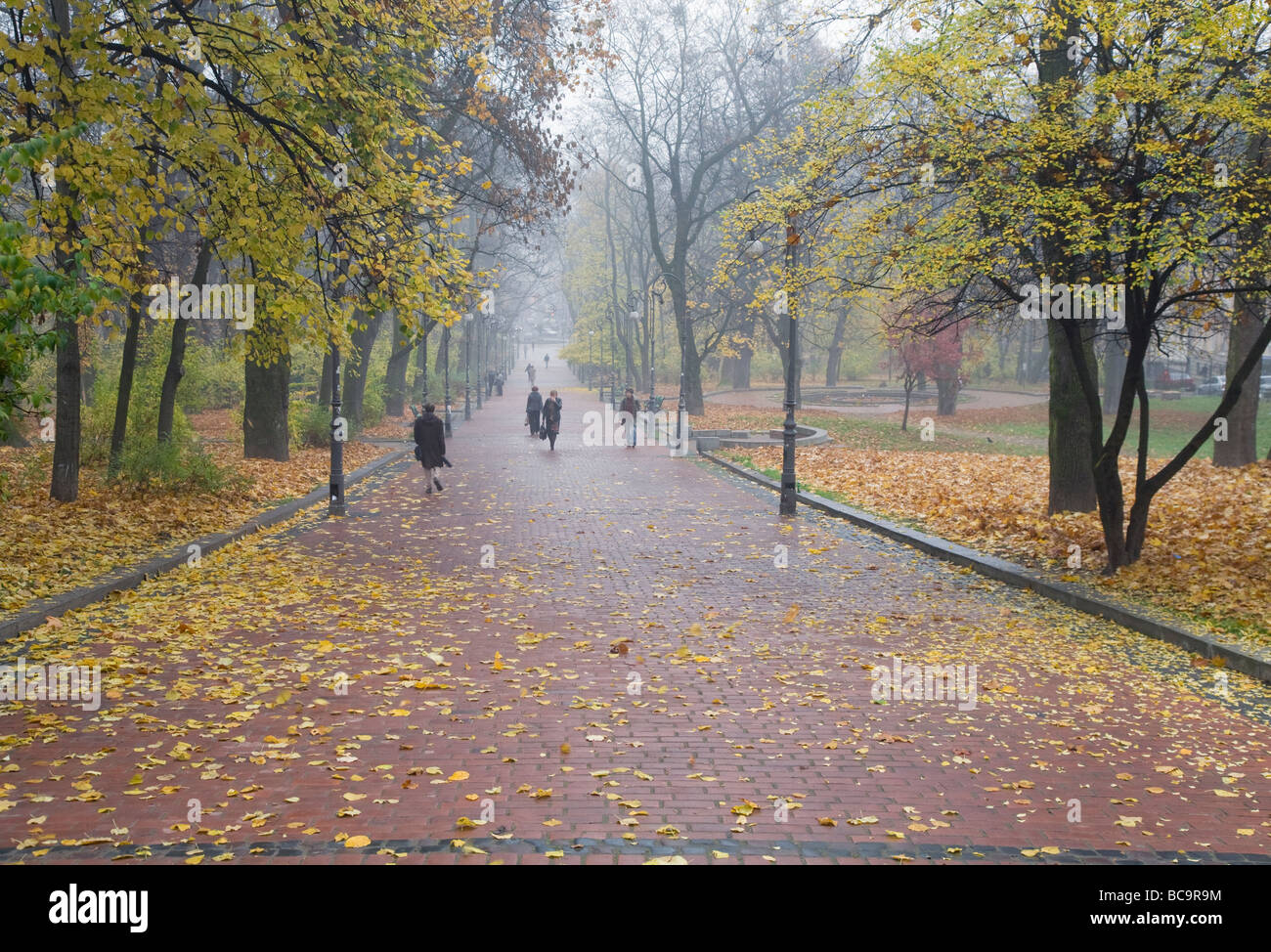 Park walk tree hi-res stock photography and images - Alamy