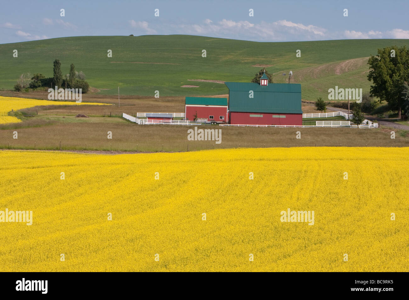 Near Pullman, Washington, in Palouse Country, Southeastern Washington ...