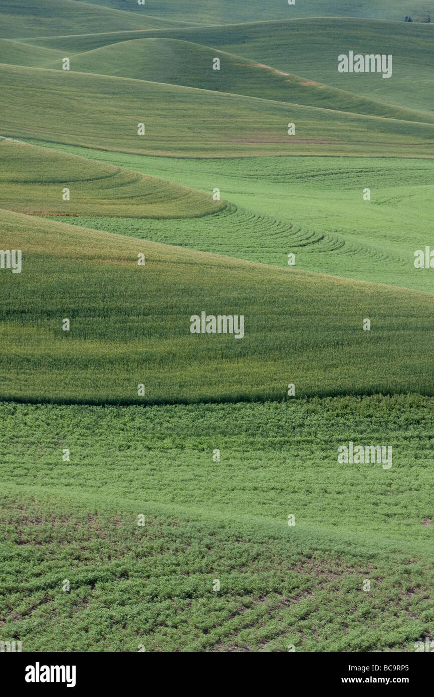 Whitman County, Palouse Country, Southeastern Washington State ...