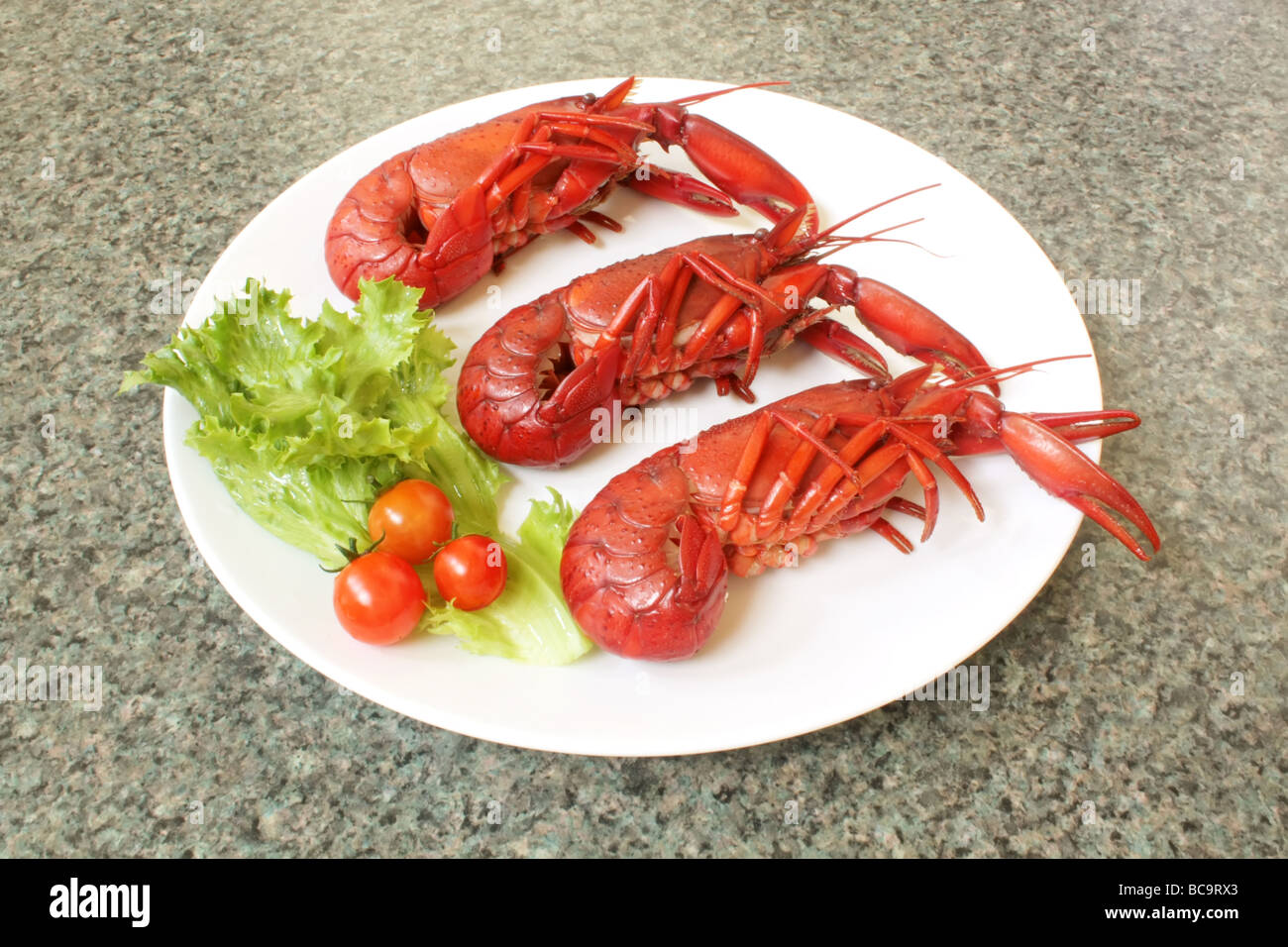 Australian lobsters hi-res stock photography and images - Alamy