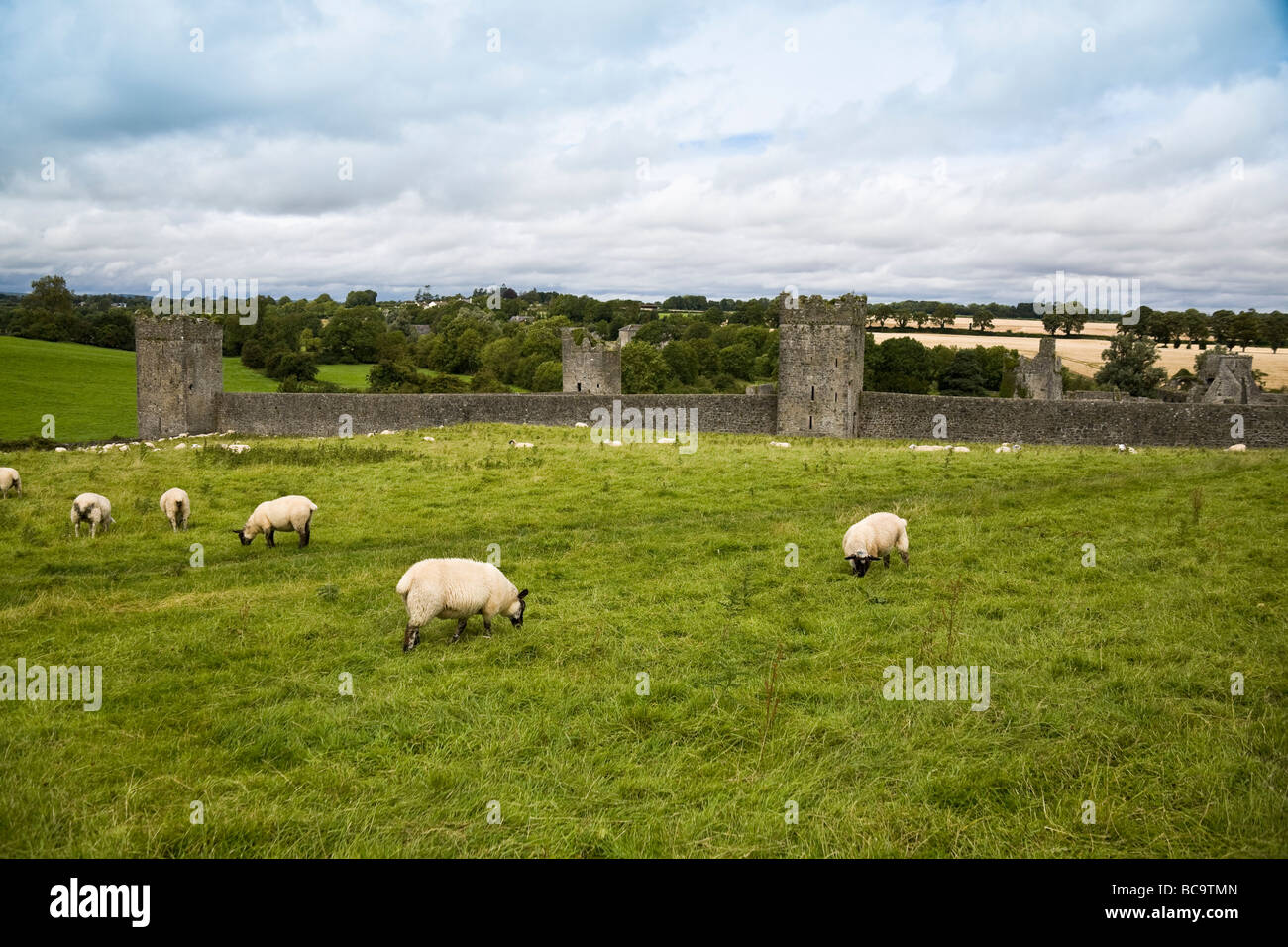 Abbey of kells hi-res stock photography and images - Alamy