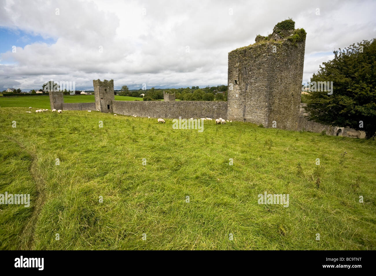 Augustinian Abbey, Kells, County Kilkenny, Republic of Ireland Stock ...