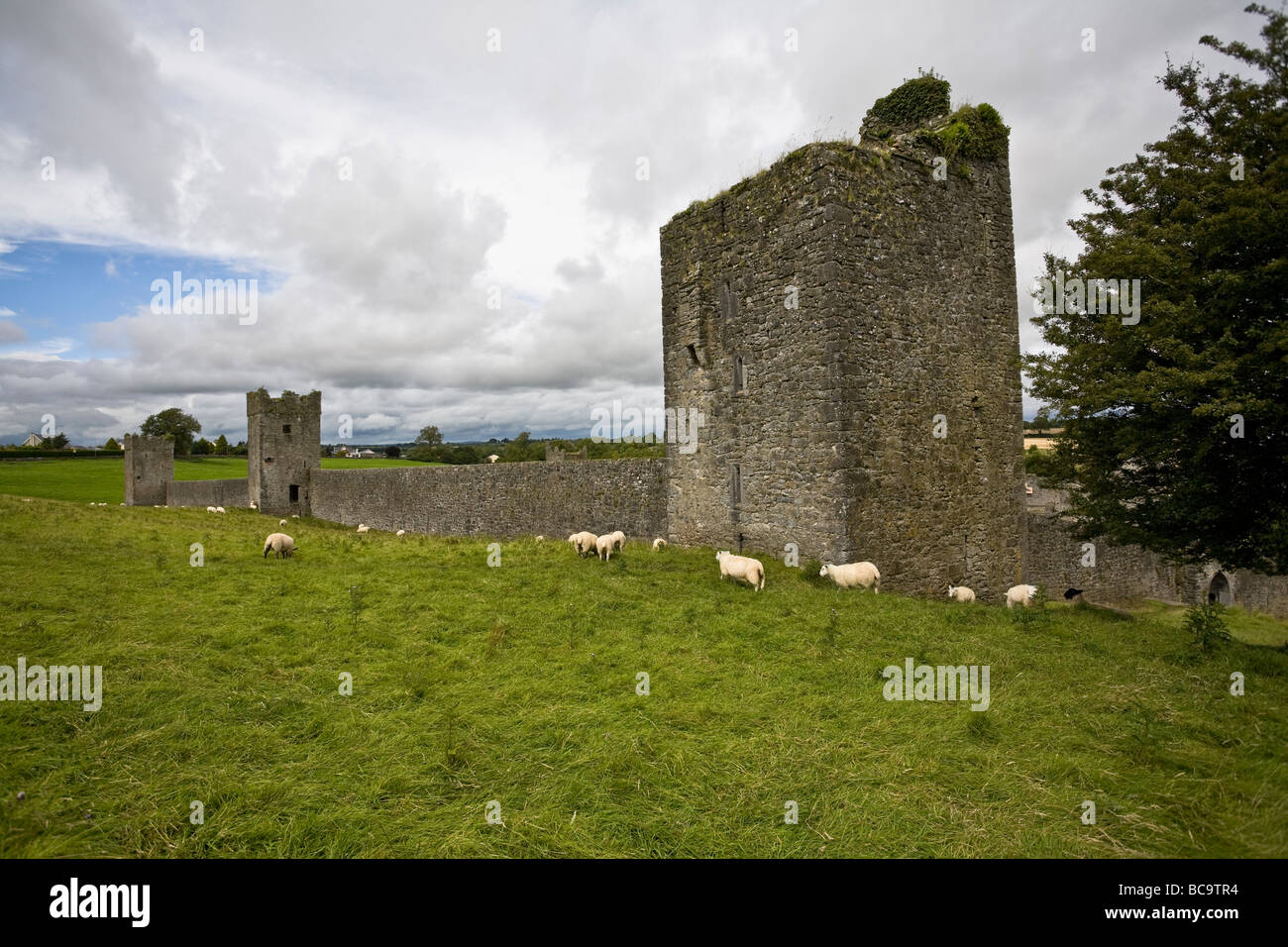Kells abbey ireland hi-res stock photography and images - Alamy