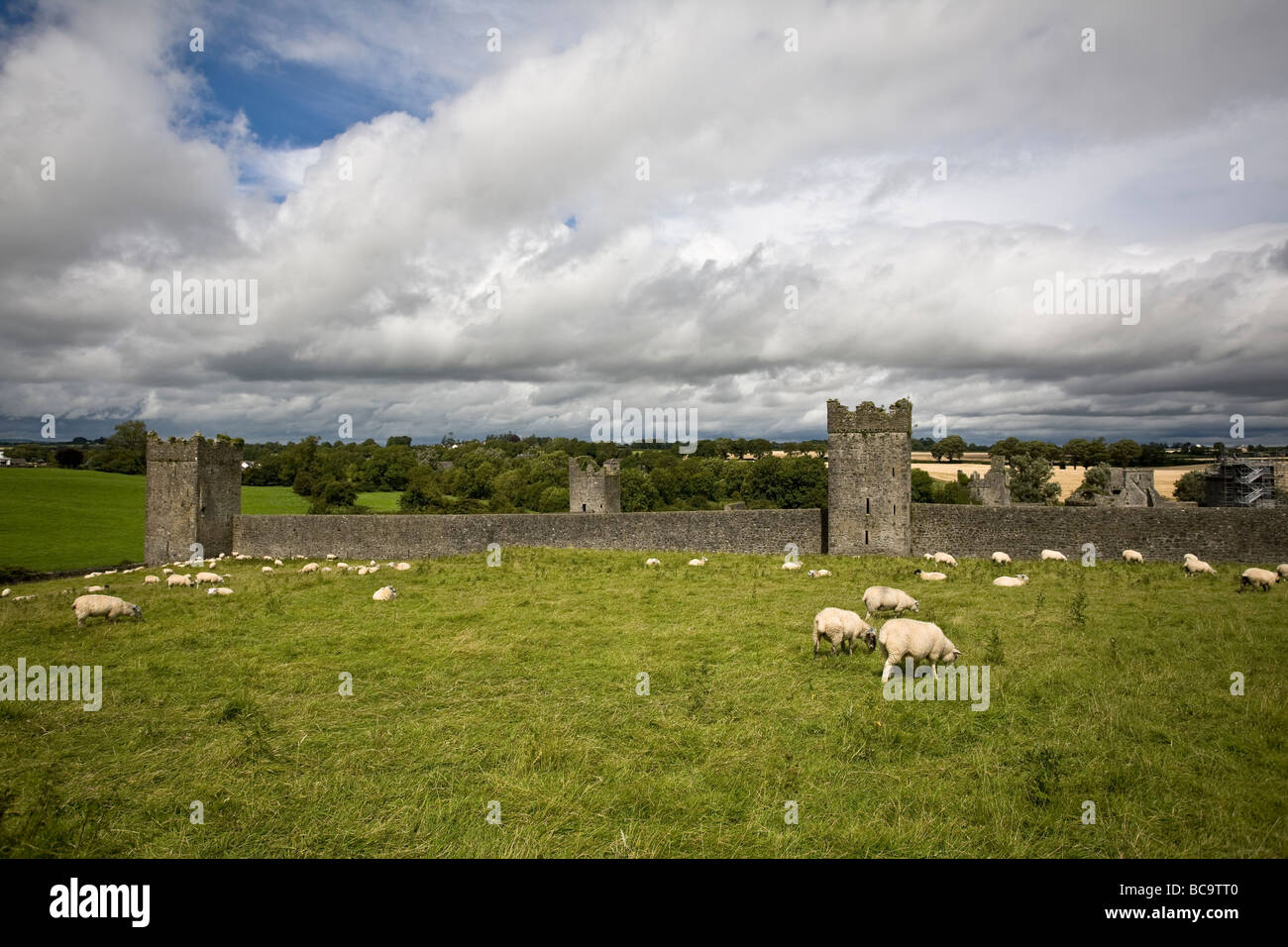 Abbey of kells hi-res stock photography and images - Alamy