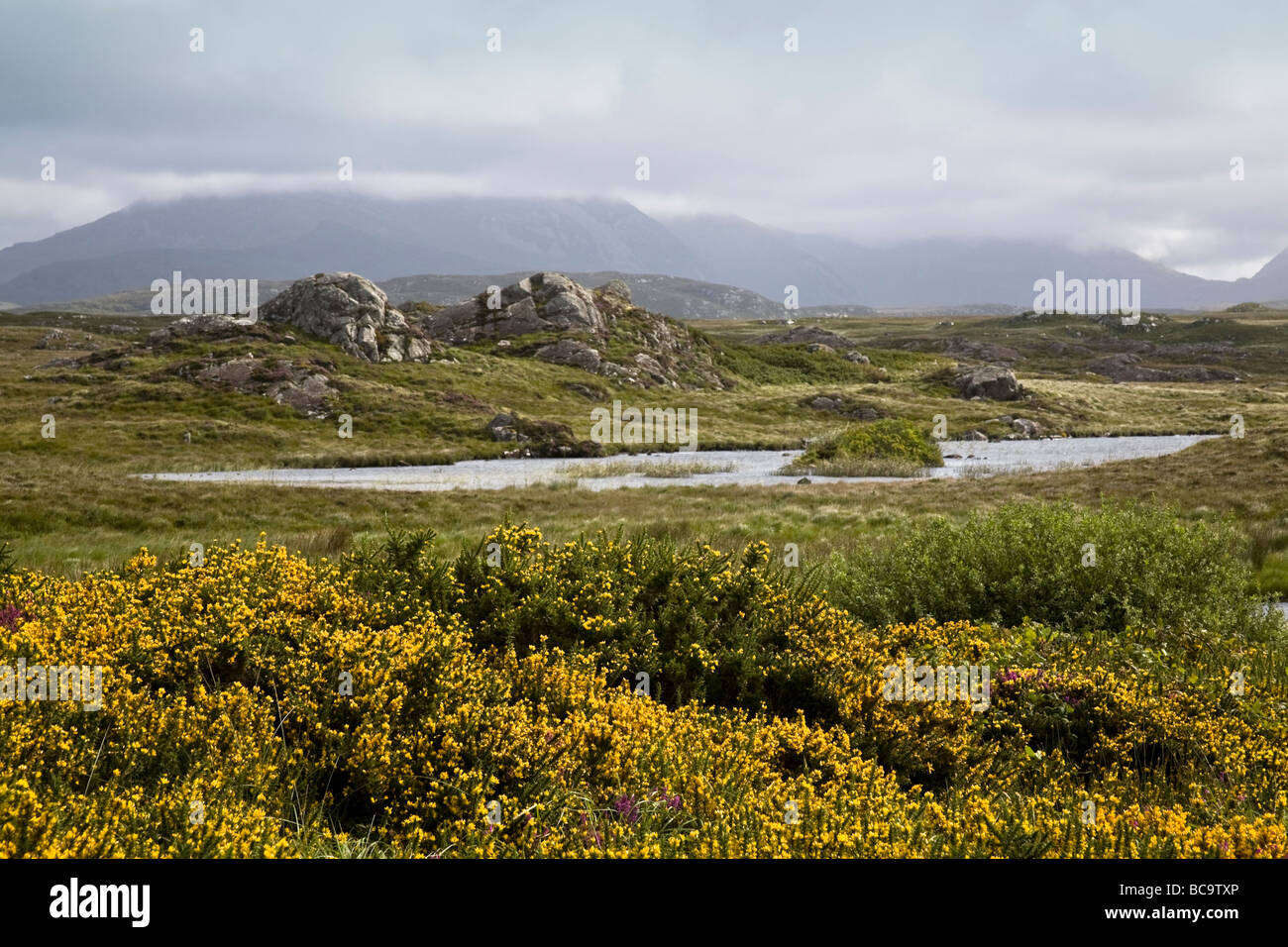 Twelve Bens, Lough Inagh Valley, Connemara, Republic of Ireland Stock ...