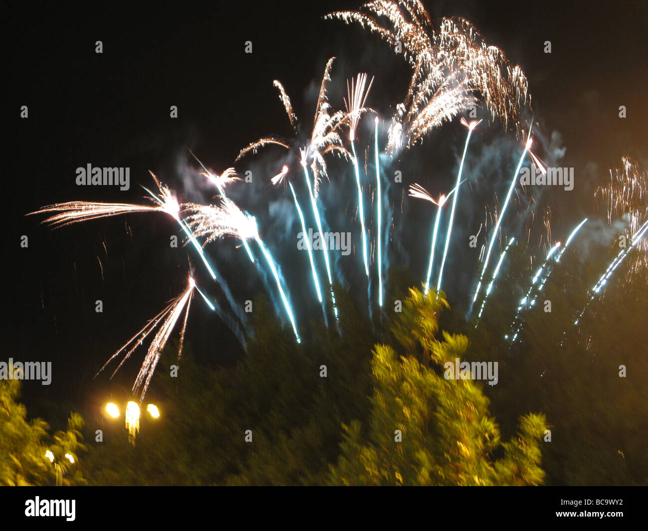big fireworks display in night sky Stock Photo - Alamy