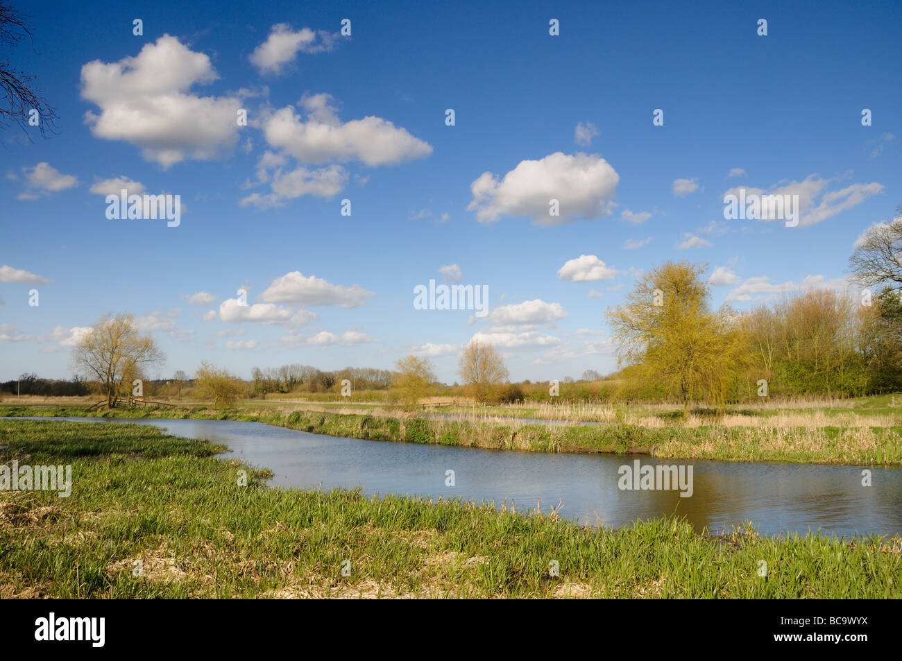 View of the wensum river and adjoining flood meadows Norfolk UK April ...