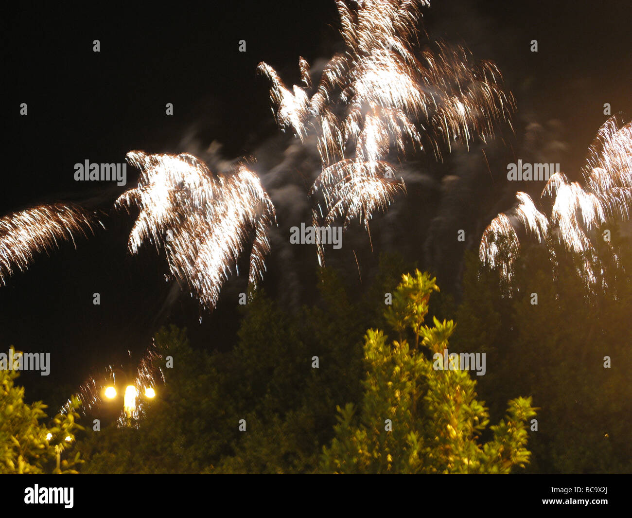 big fireworks display in night sky Stock Photo - Alamy