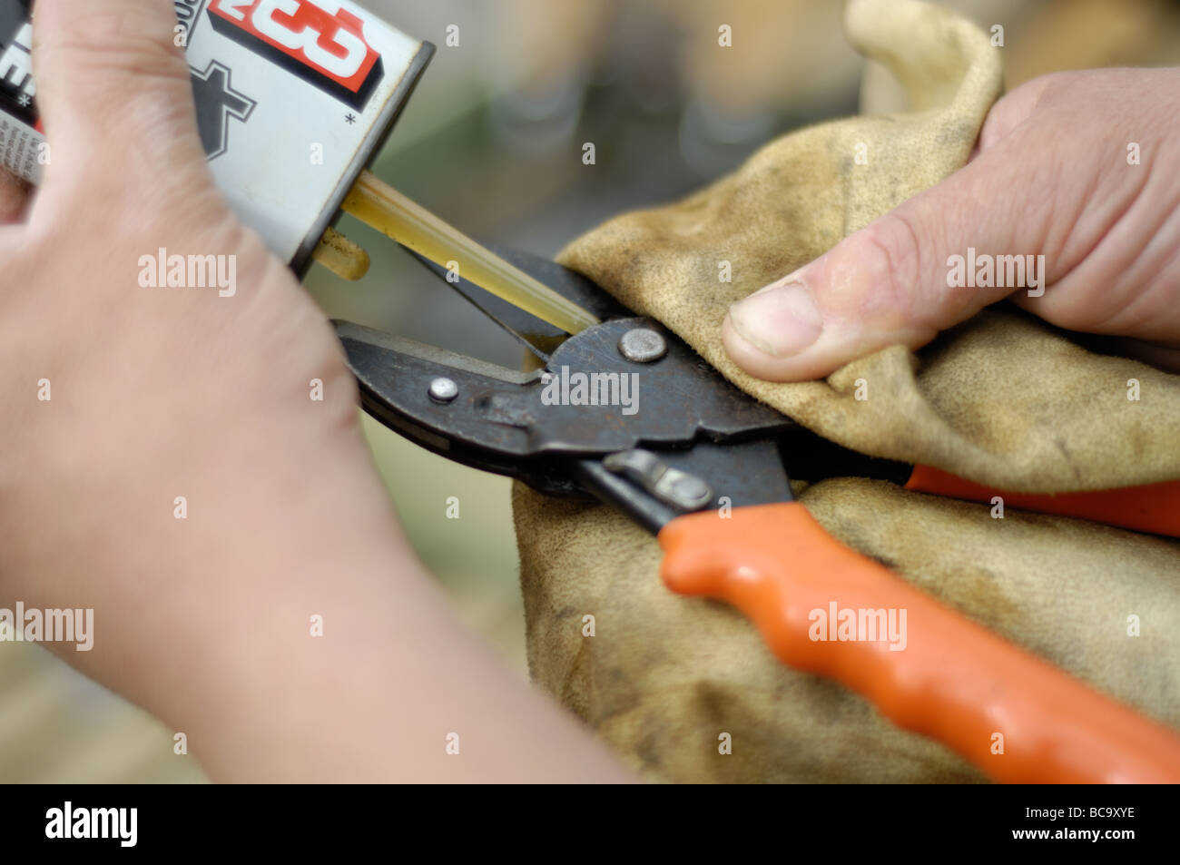 Cleaning secateurs hi-res stock photography and images - Alamy
