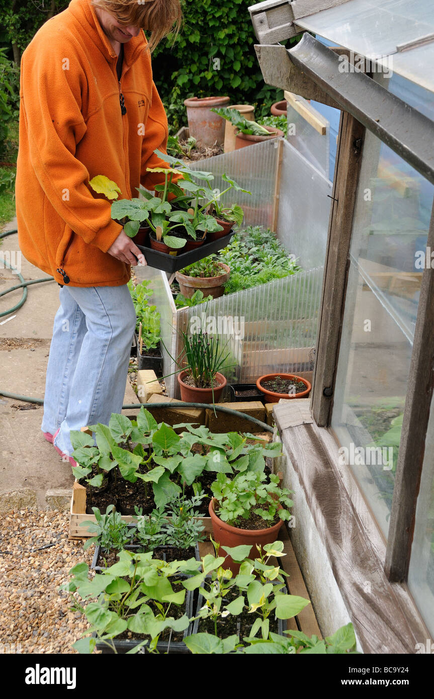 Plants hardening off greenhouse hi-res stock photography and images - Alamy