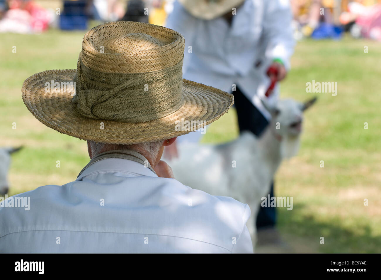 Female judge hi-res stock photography and images - Alamy