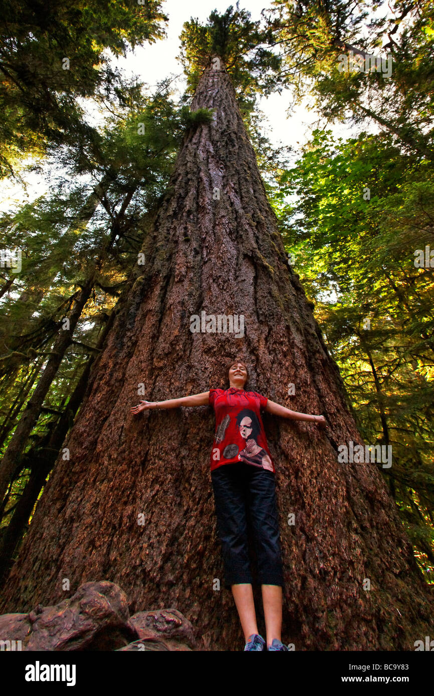 women posing uder 800 year old giant redwood Trees in Cathedral Grove ...