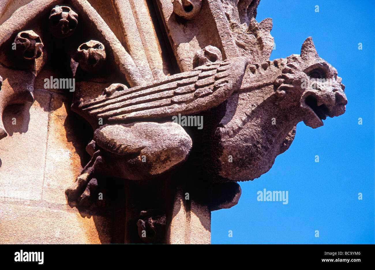 Detail of a gryffon at the top of St Marys' Tower Oxford University ...