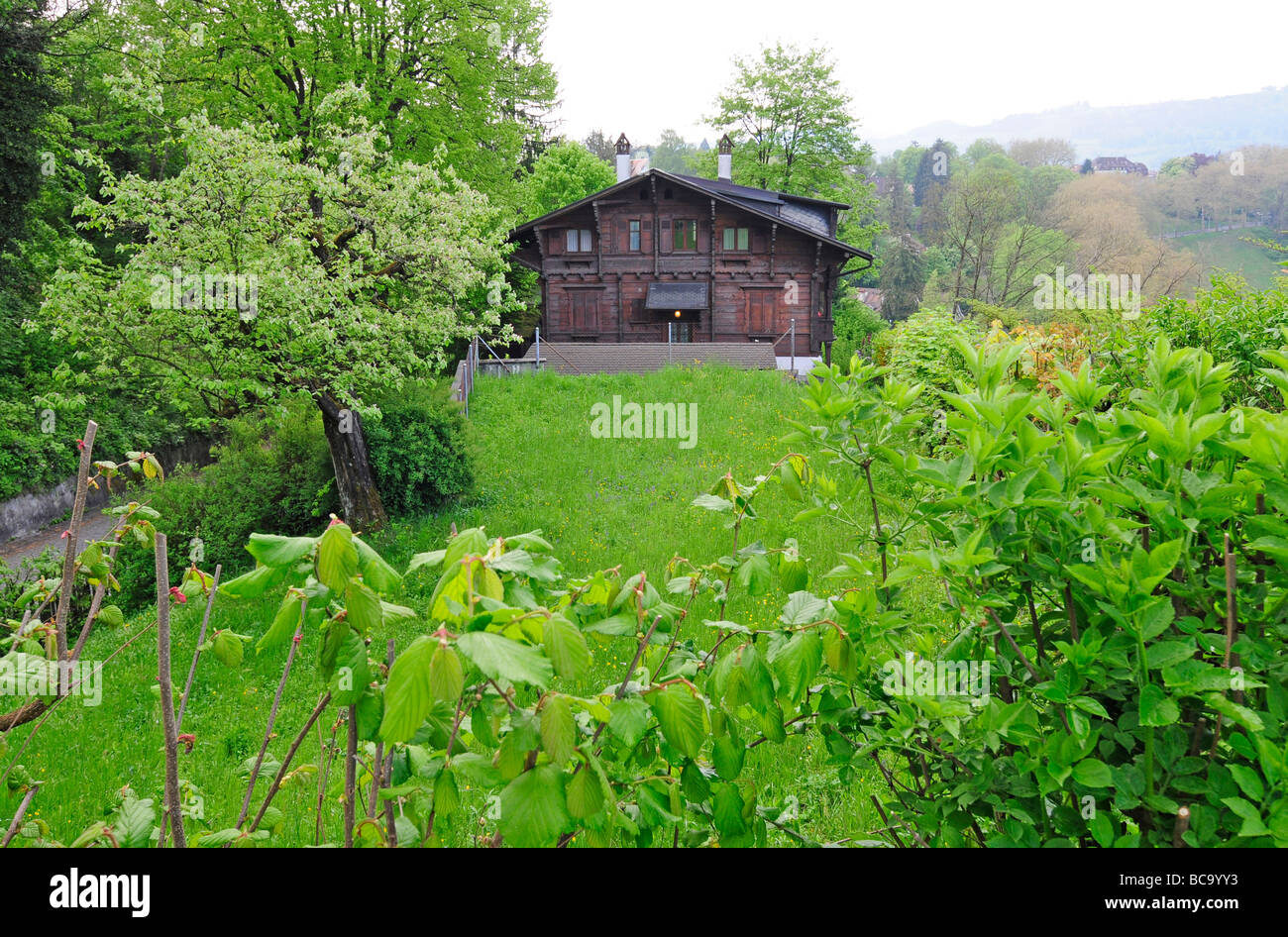 Natural landscape on the shore of the Aare river in Bern, Switzerland ...
