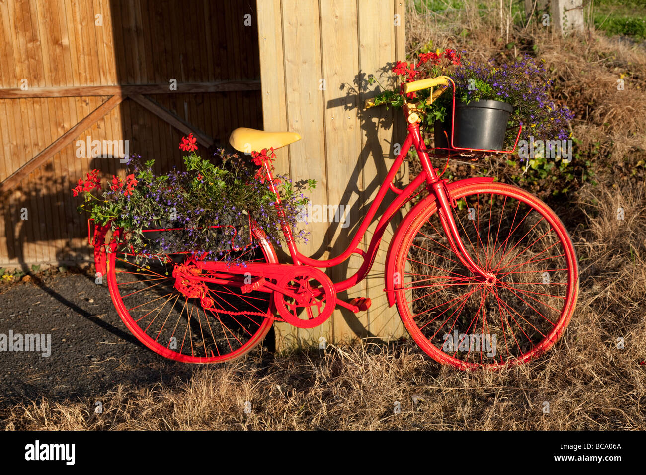 Red cycle hi-res stock photography and images - Alamy