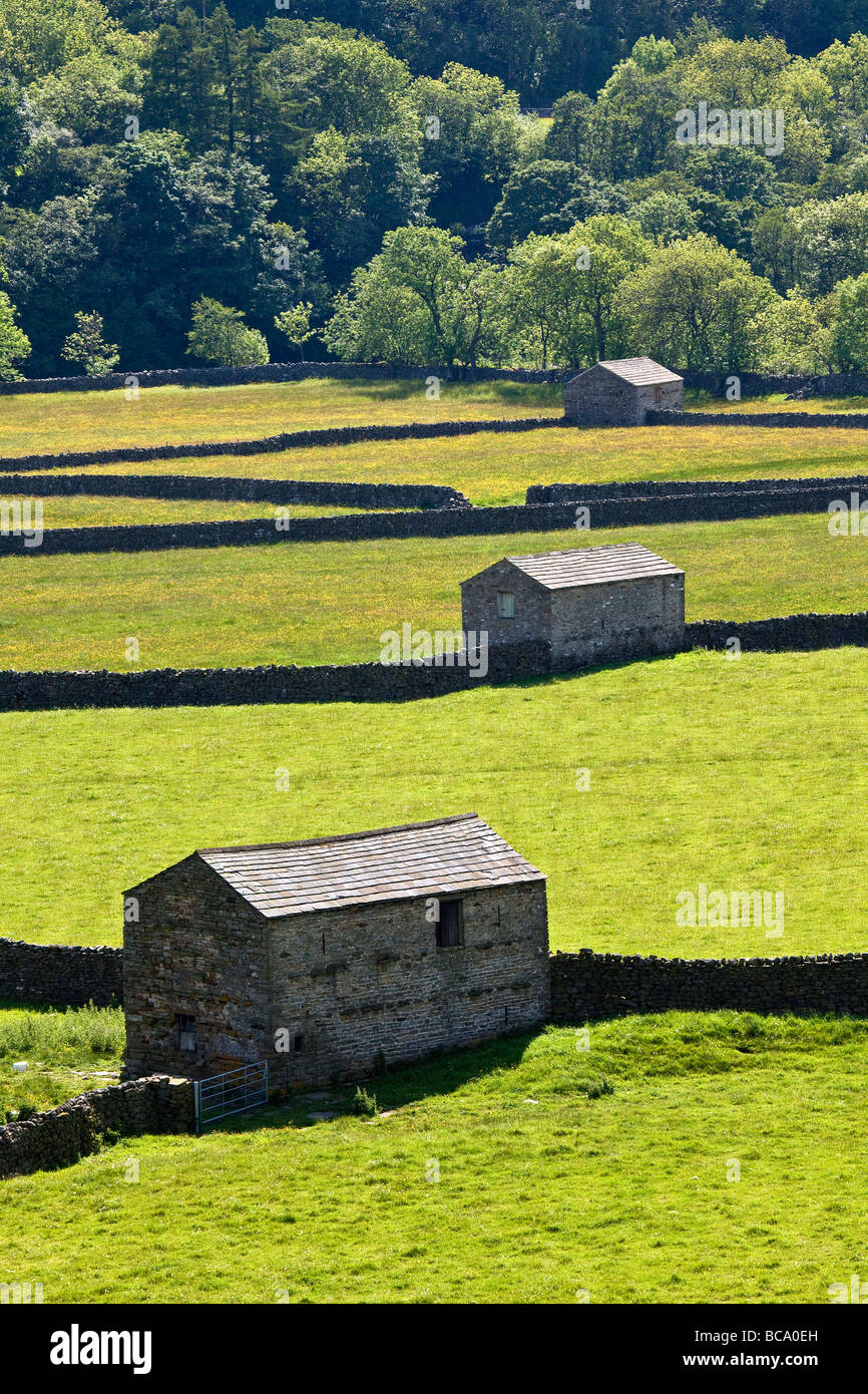 Swaledale barn and stone walls meadows Gunnerside Bottoms Yorkshire ...
