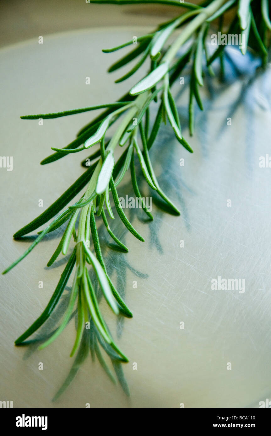 Rosemary sprig hi-res stock photography and images - Alamy