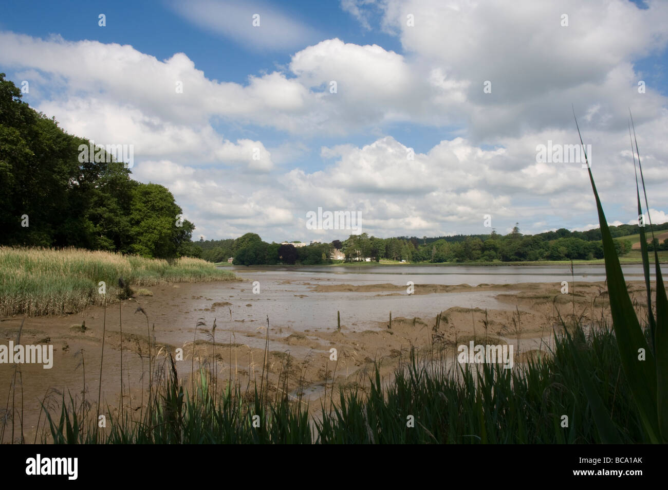 Cleddau wales hi-res stock photography and images - Alamy