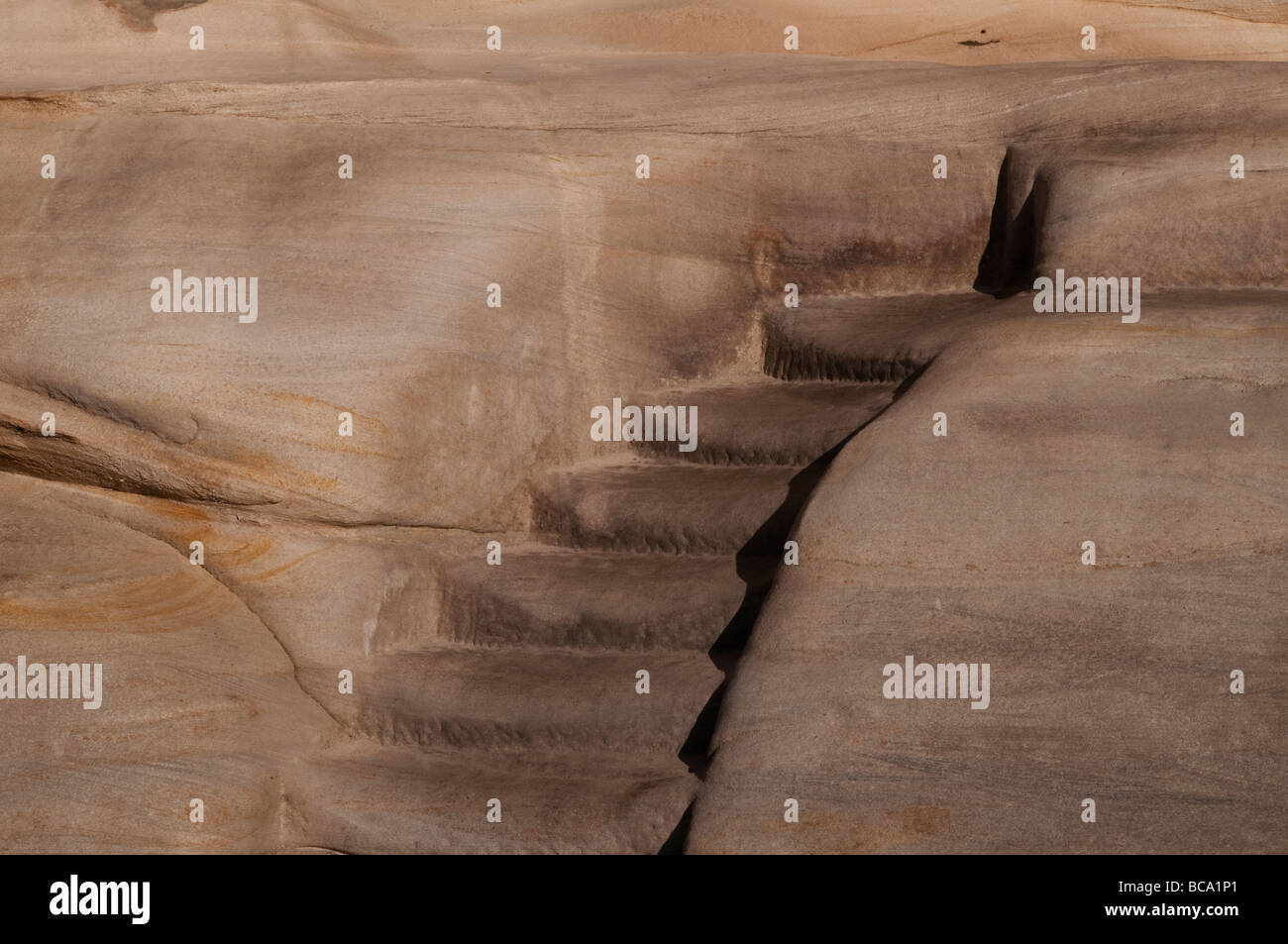 Sydney sandstone hi-res stock photography and images - Alamy