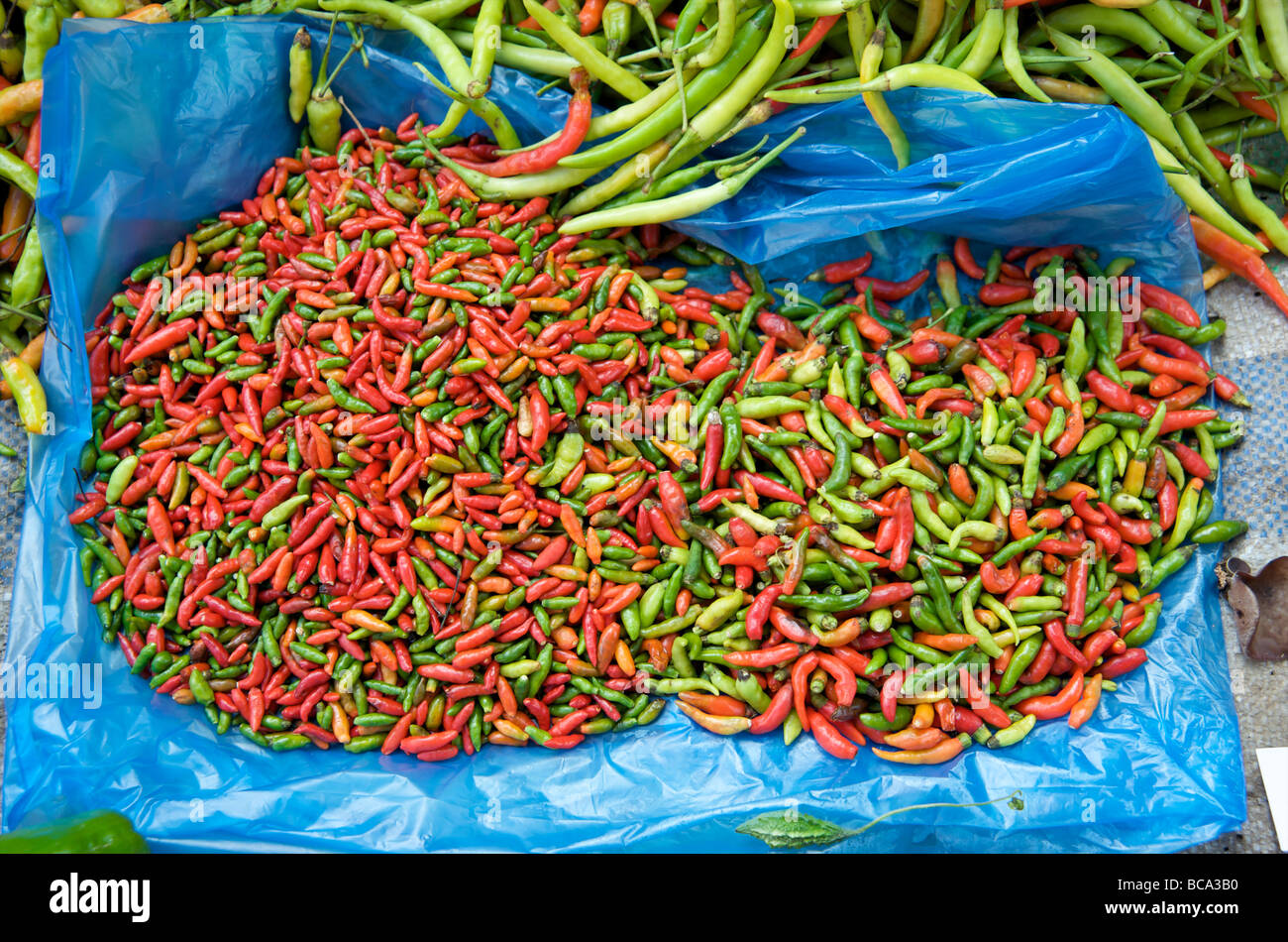 Detail of chillies in laos hi-res stock photography and images - Alamy