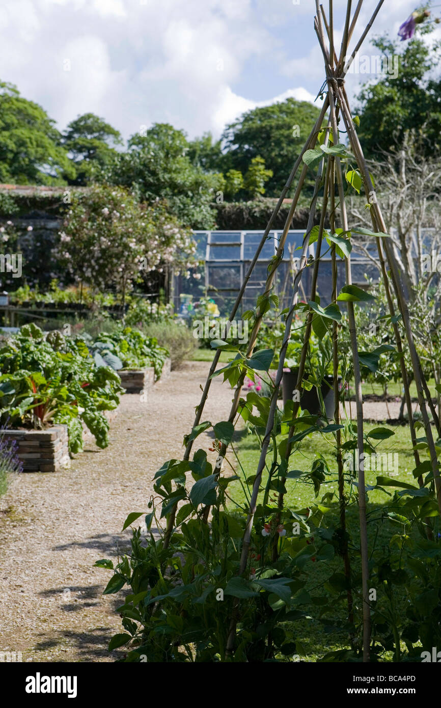Bonython Estate gardens Stock Photo - Alamy
