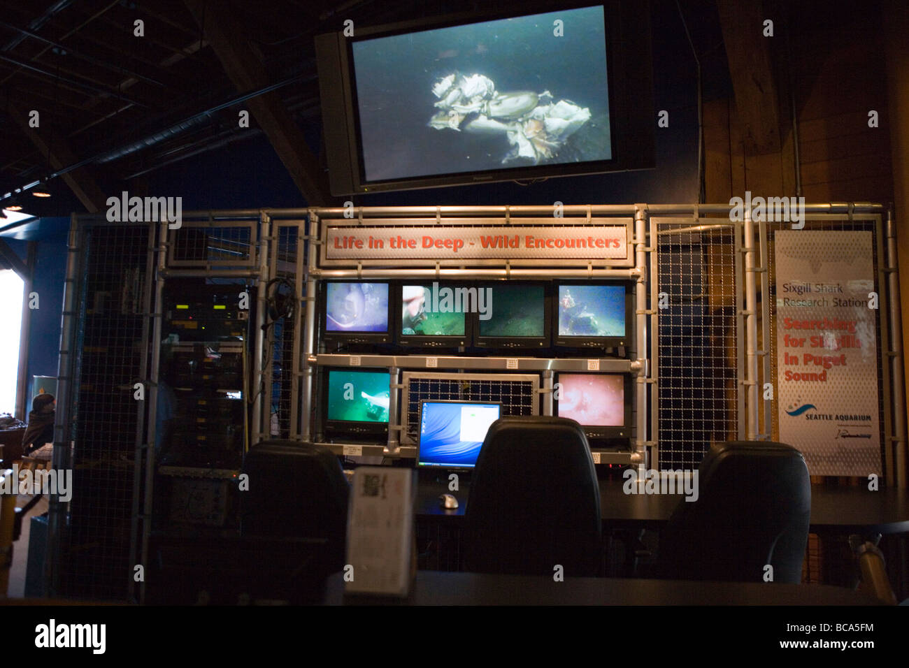 deep water ocean educational display at Seattle Aquarium Stock Photo ...