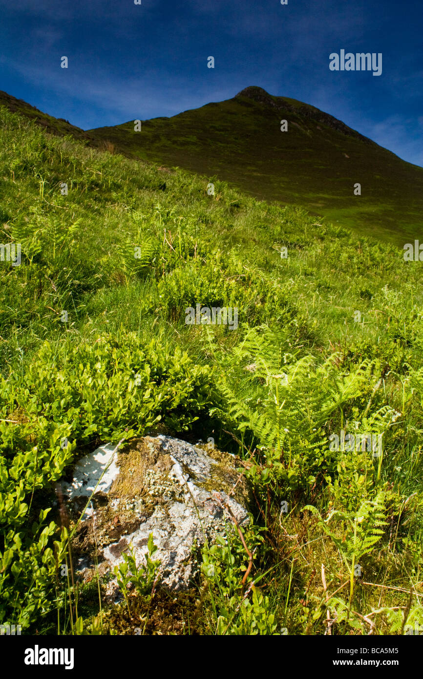 Causey Pike,Lake District National Park,Cumbia,Endland Stock Photo - Alamy