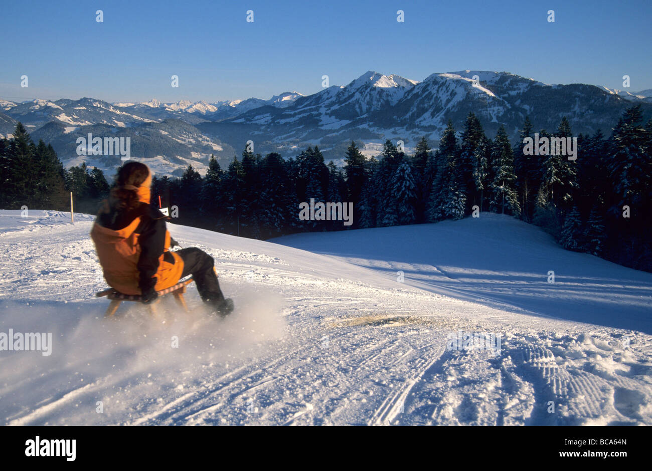 sledging at Brueggele, Bregenzer Wald, Vorarlberg, Austria Stock Photo ...