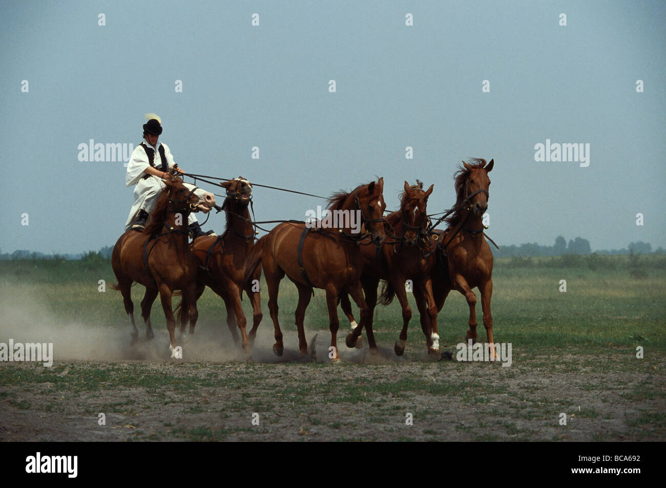 Horse riding event, Bugac, Puszta, Hungary Stock Photo - Alamy