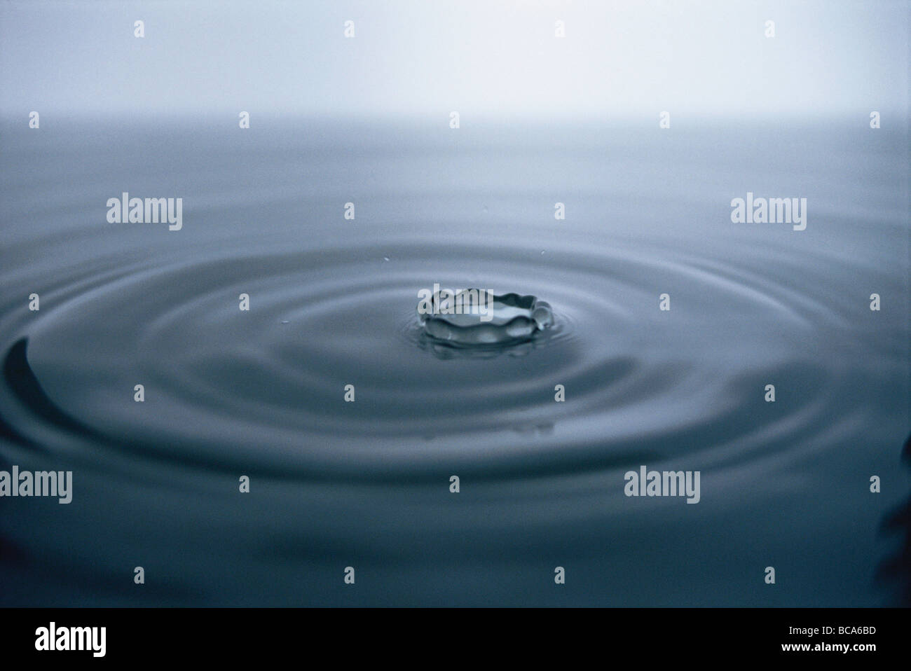 Drop of water touching the surface of the water, Purity, Freshness ...