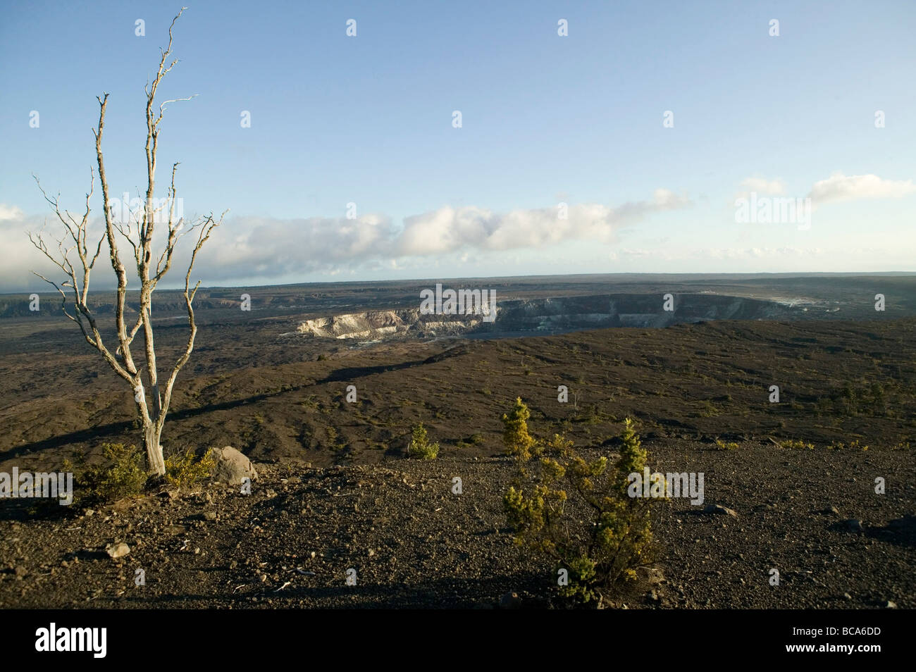 USA, Hawaii, Big Island, Volcanoes National Park, volcano, crater, tree ...