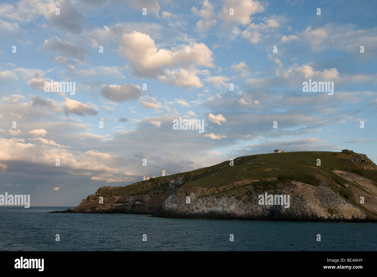 Lighthouse taiaroa head hi-res stock photography and images - Alamy