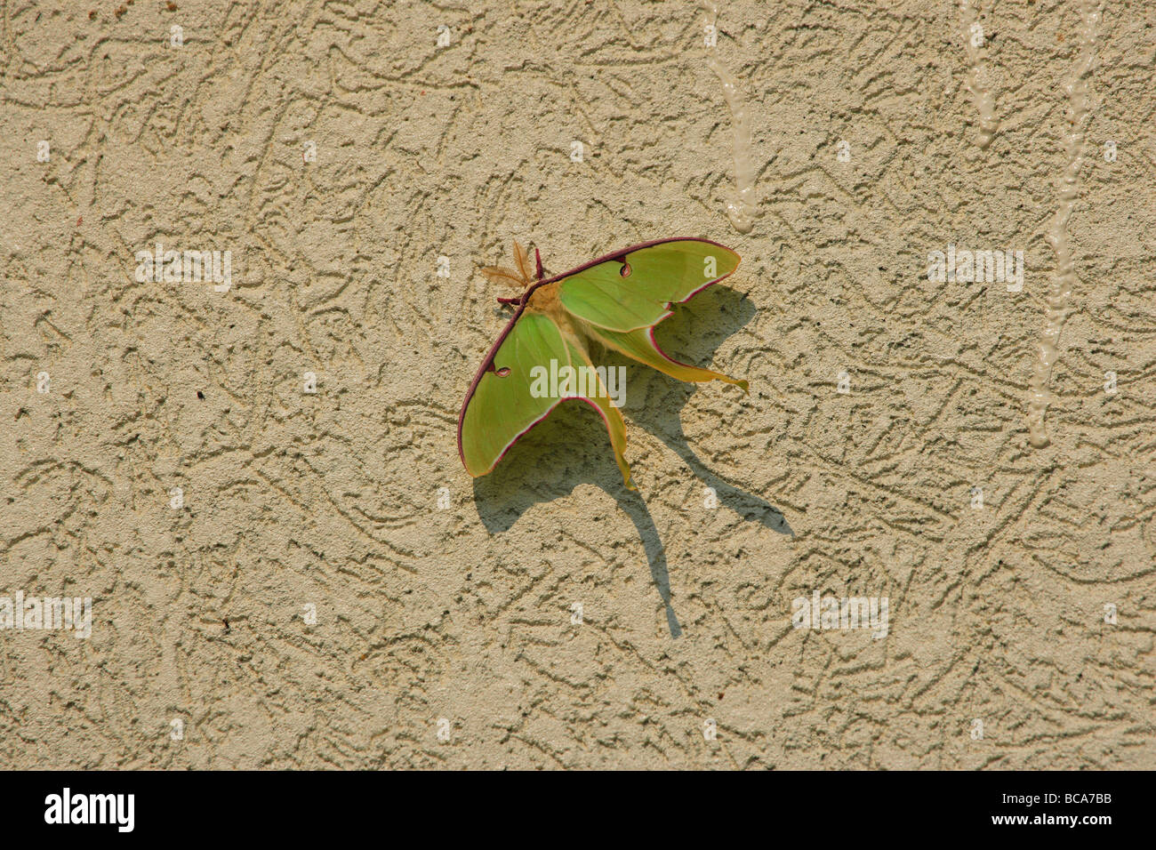 A stop to rest hi-res stock photography and images - Alamy