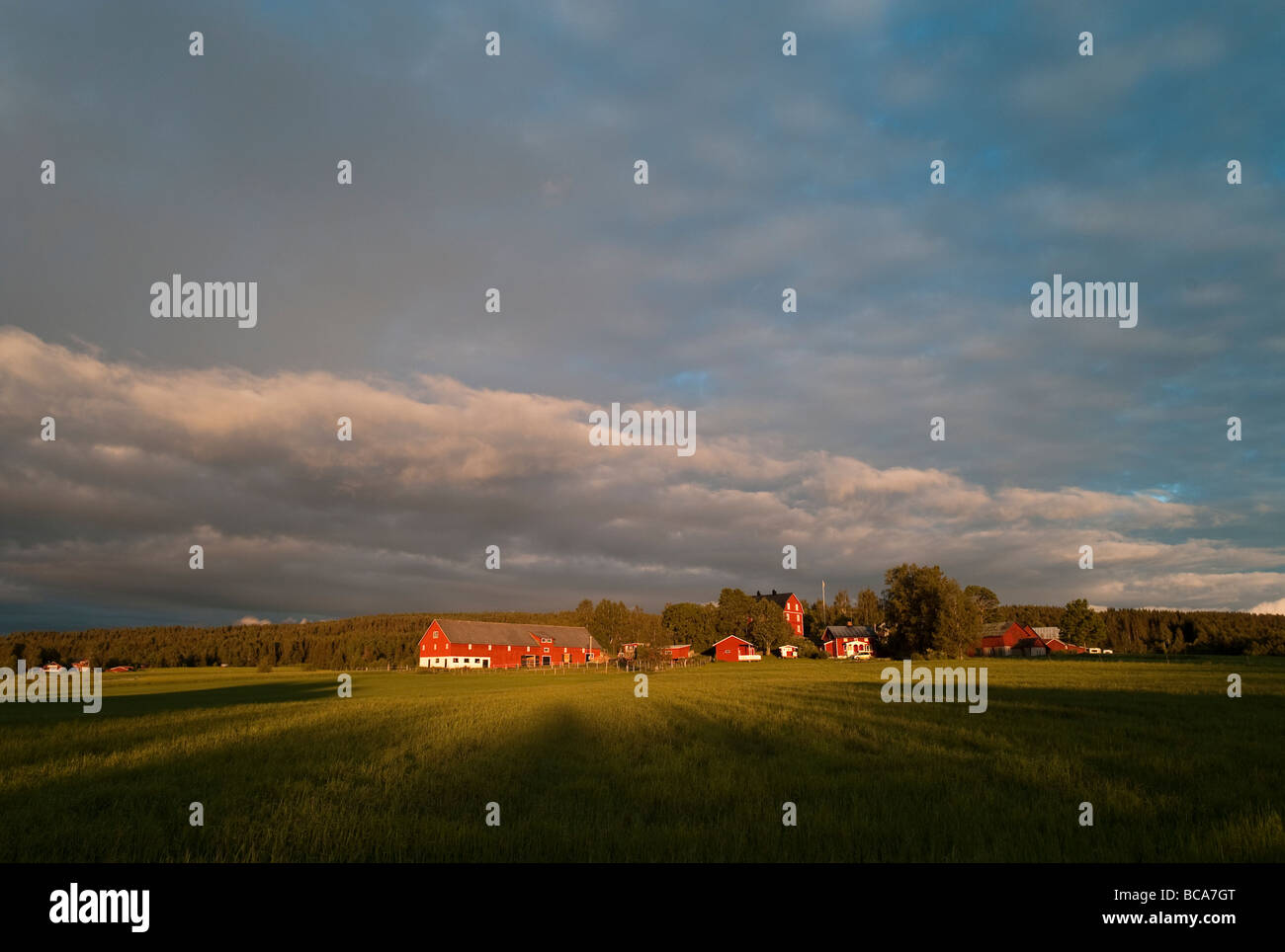Swedish countryside hi-res stock photography and images - Alamy