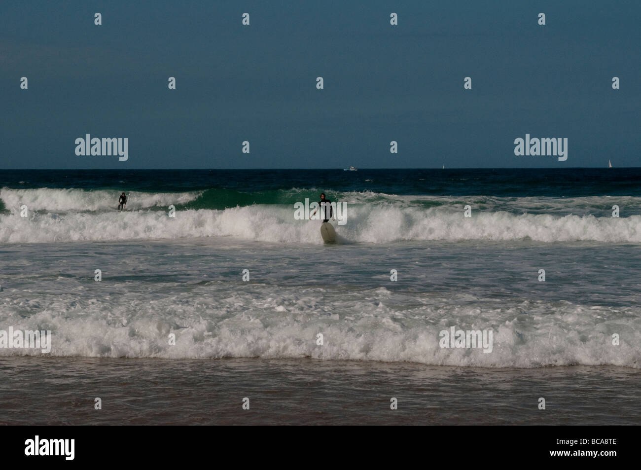 Surfing on Manly beach, Sydney, NSW, Australia Stock Photo - Alamy