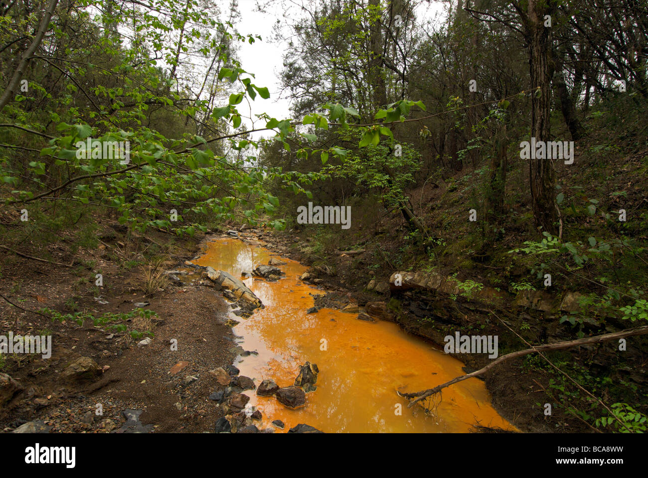 Iron staining polluting river Merse water near Montieri, Tuscany, Italy ...