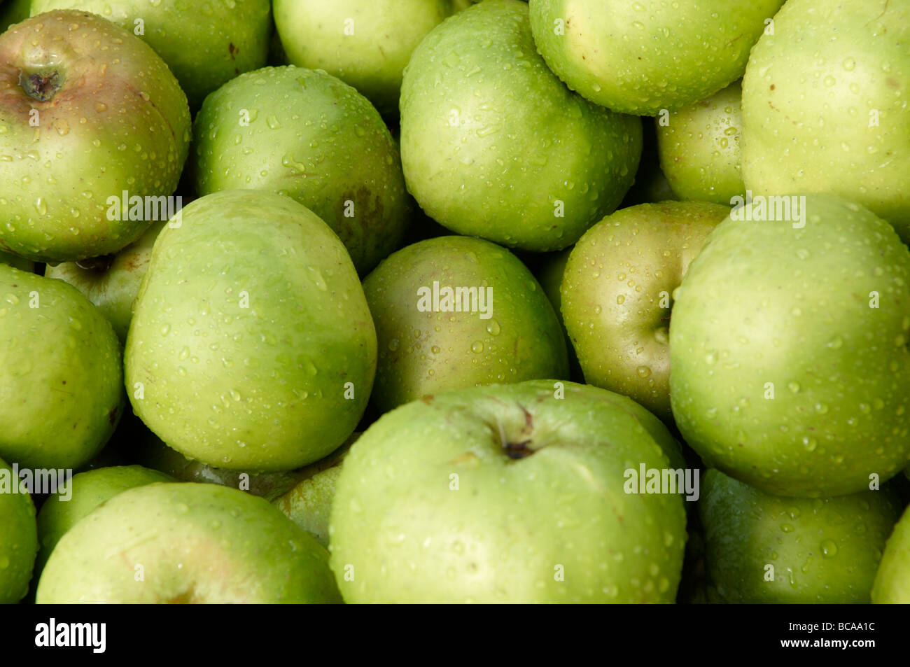 Bramley Apples High Resolution Stock Photography and Images - Alamy