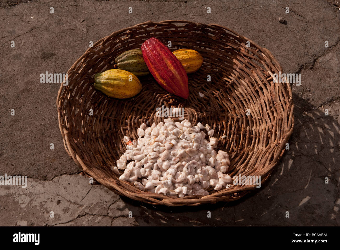 Cocoa pulp hi-res stock photography and images - Alamy